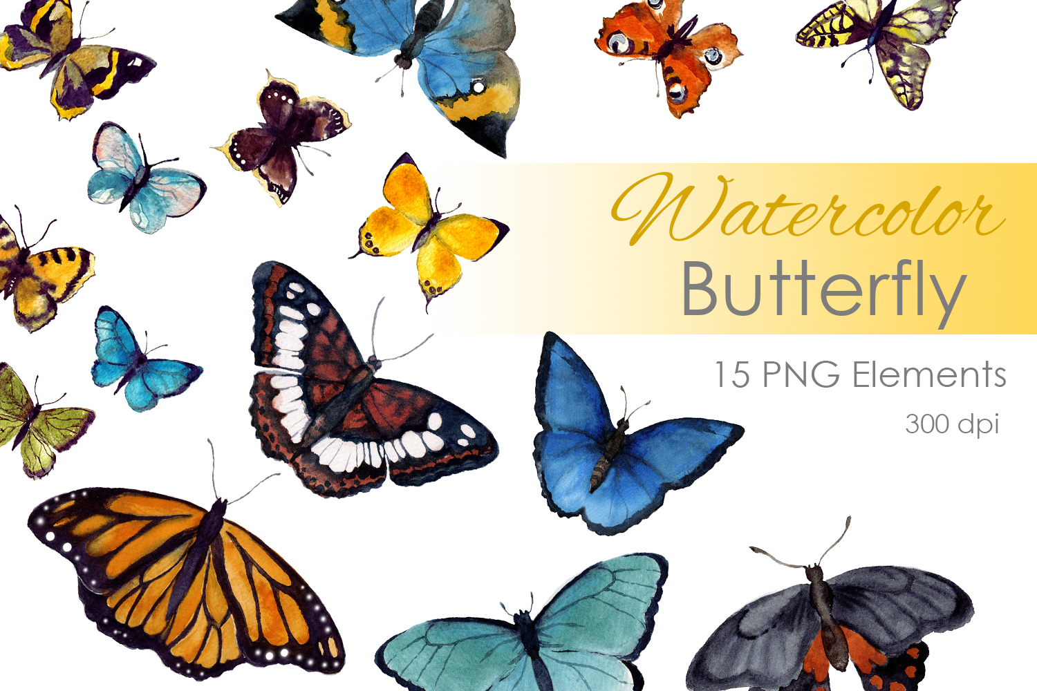 Watercolor Clipart. Watercolor digital clipart. Butterfly pn | Inspire ...