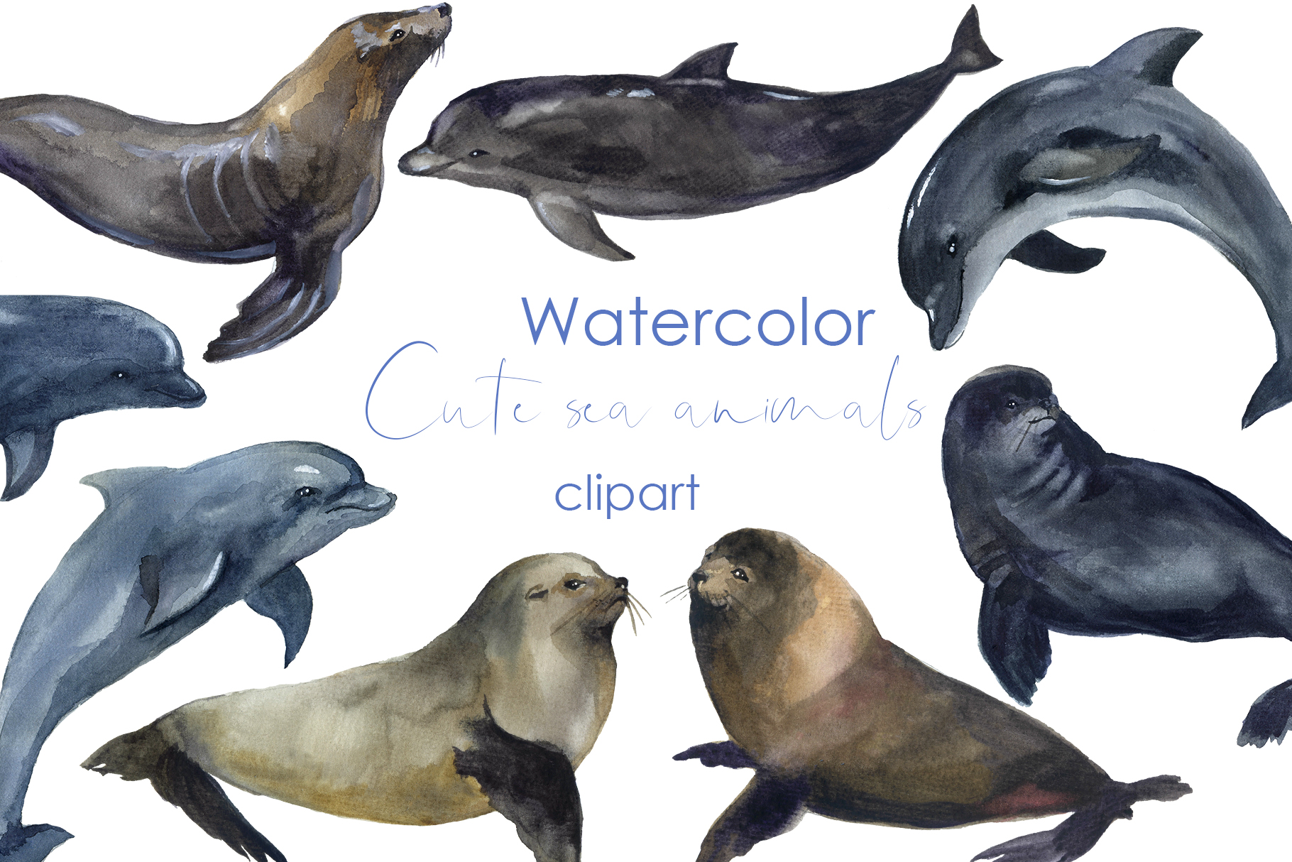 Watercolor illustrations. sea animals clipart. Dolphins and | Inspire ...