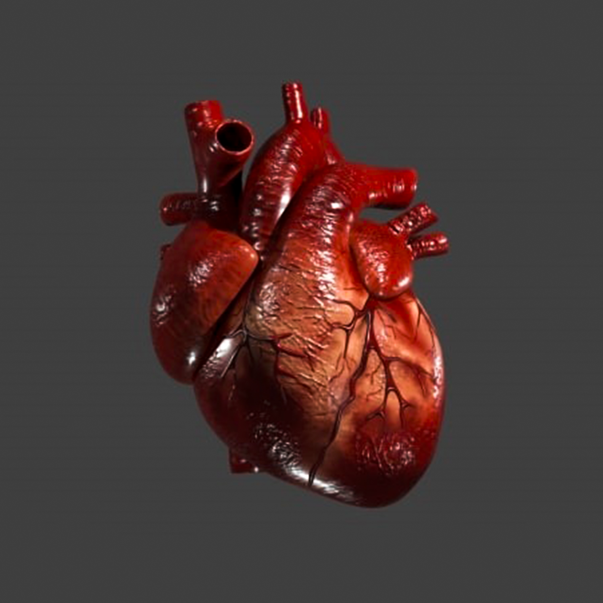 Stl File Heart 3d Model Fo 3d Printed Inspire Uplift