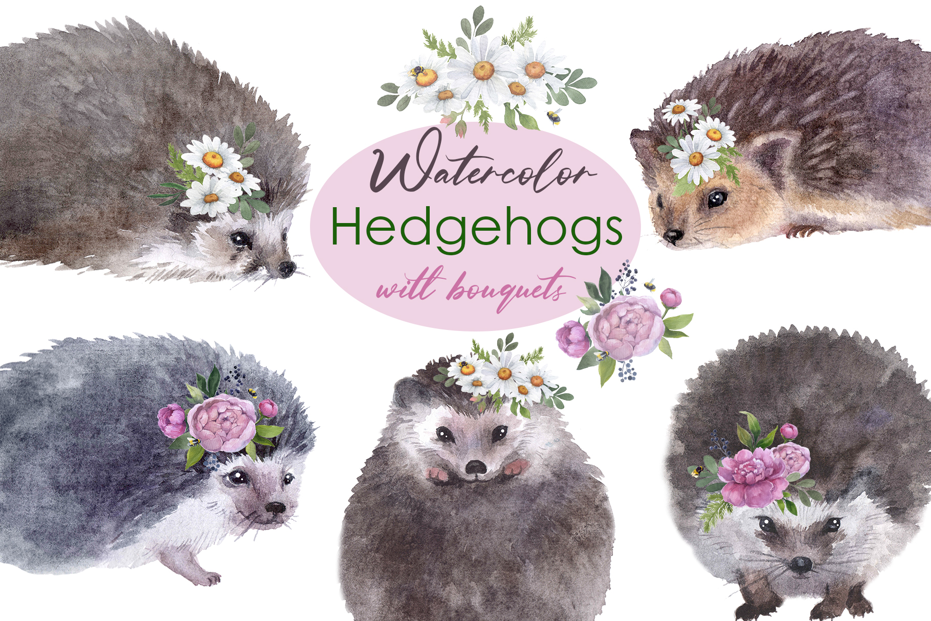 Watercolor clipart. With bouquets clipart. Woodland hedgehog - Inspire ...