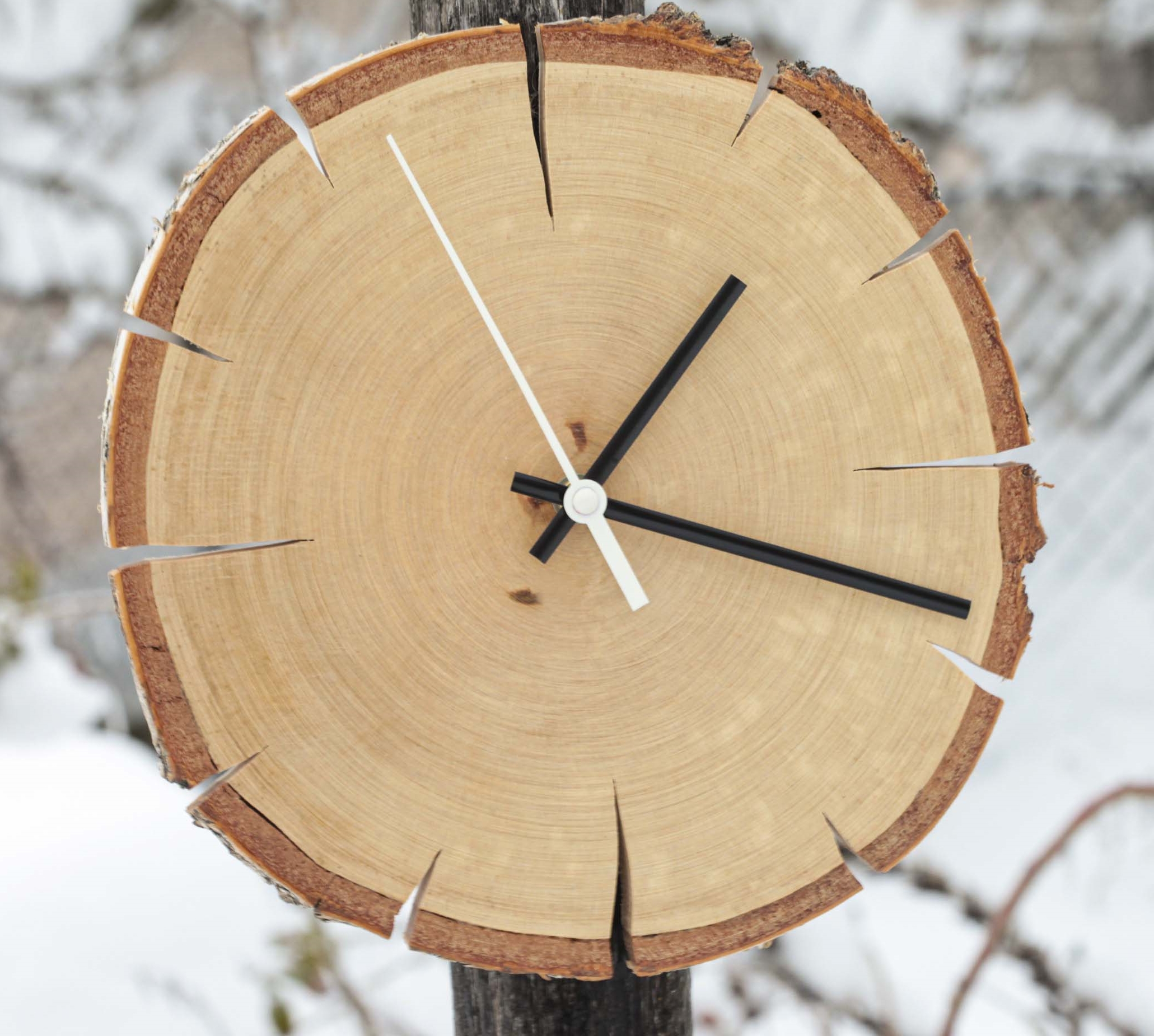 wood slice birch simple clock unique log clock live edge 5th | Inspire ...