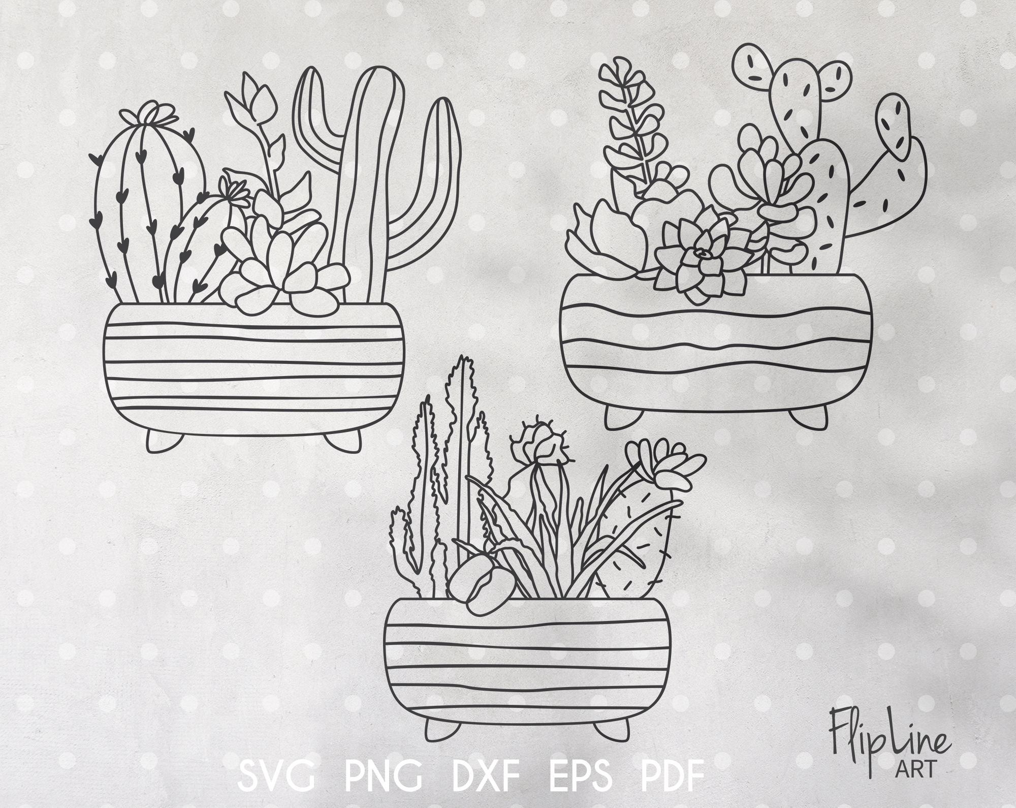Boho Cactus SVG & PNG clipart bundle, Home Plant, Succulent | Inspire ...