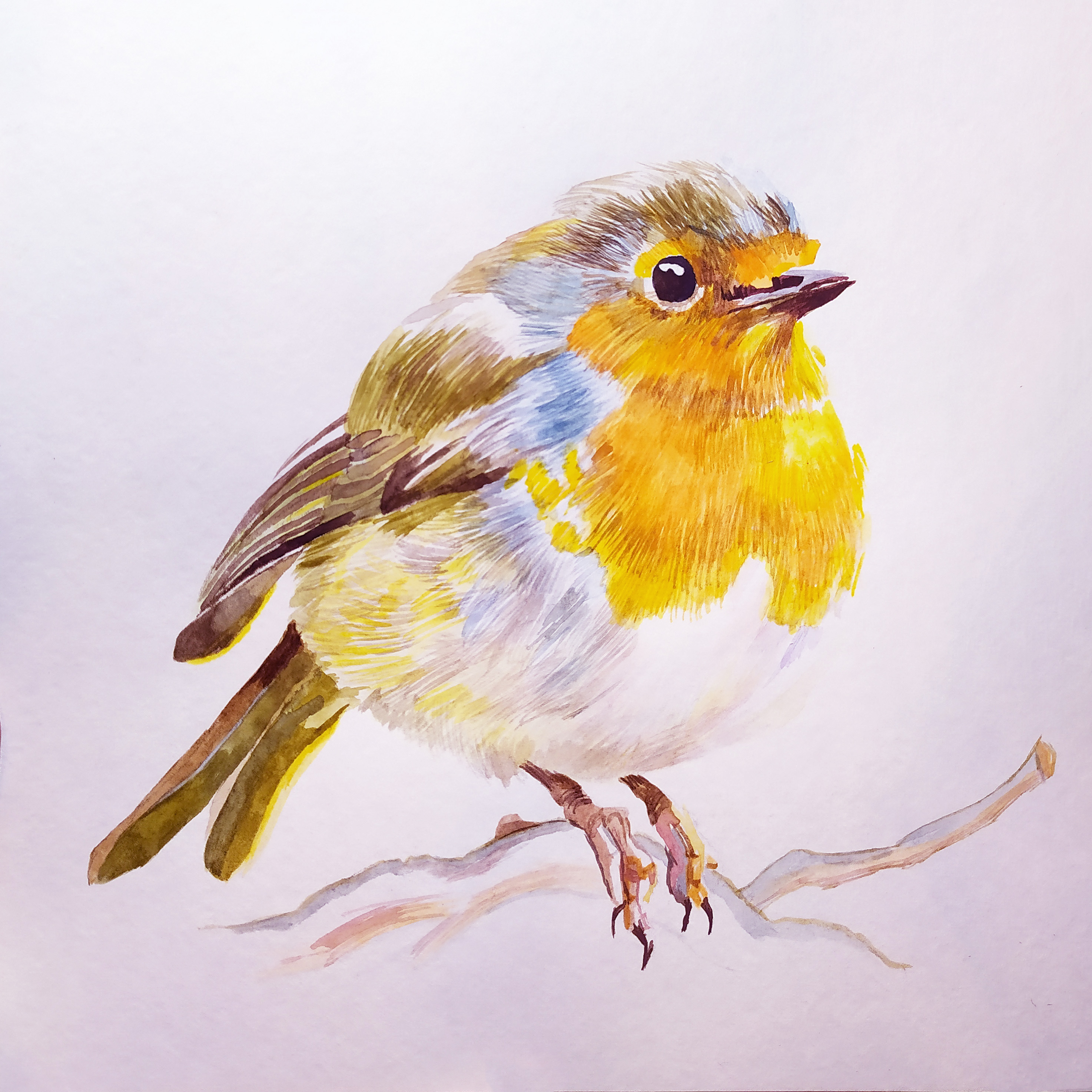 Robin bird Watercolor Painting Birds ORIGINAL Watercolor Wal | Inspire ...