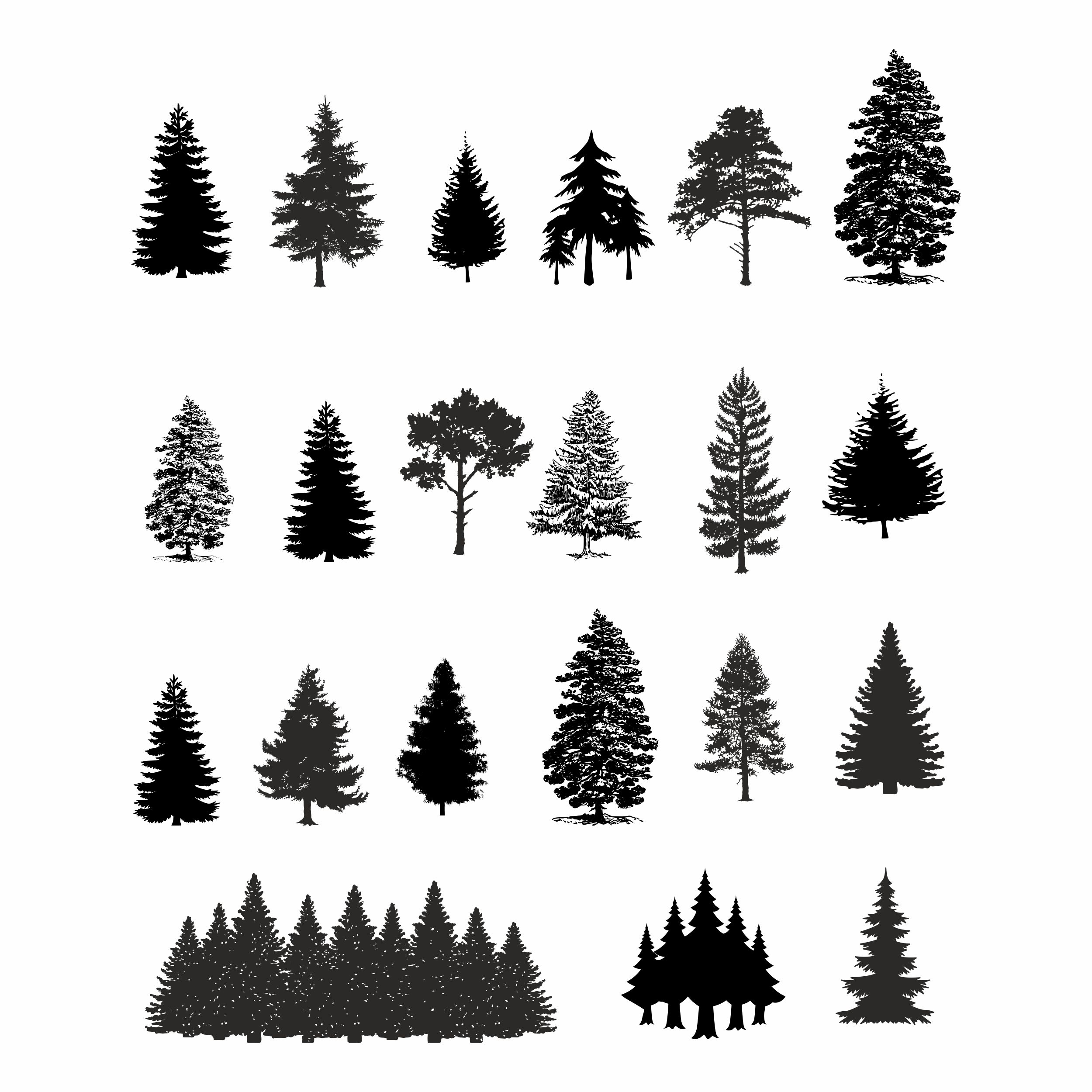 Tree Svg Bundle, Tree Svg, Trees Svg, Tree Cut File Svg, Tre | Inspire ...