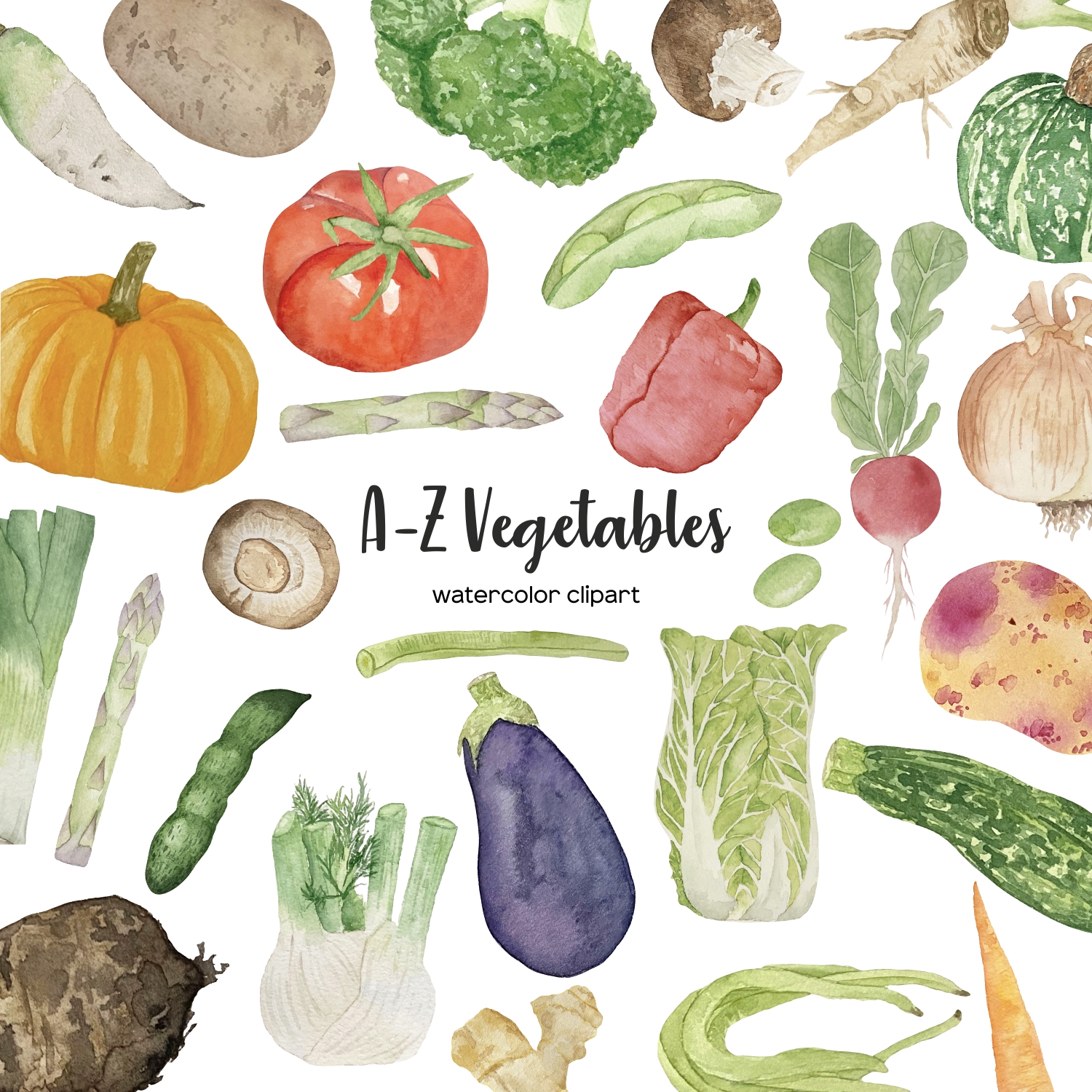 Watercolor vegetables clipart. A-Z veggies watercolor. Full - Inspire ...