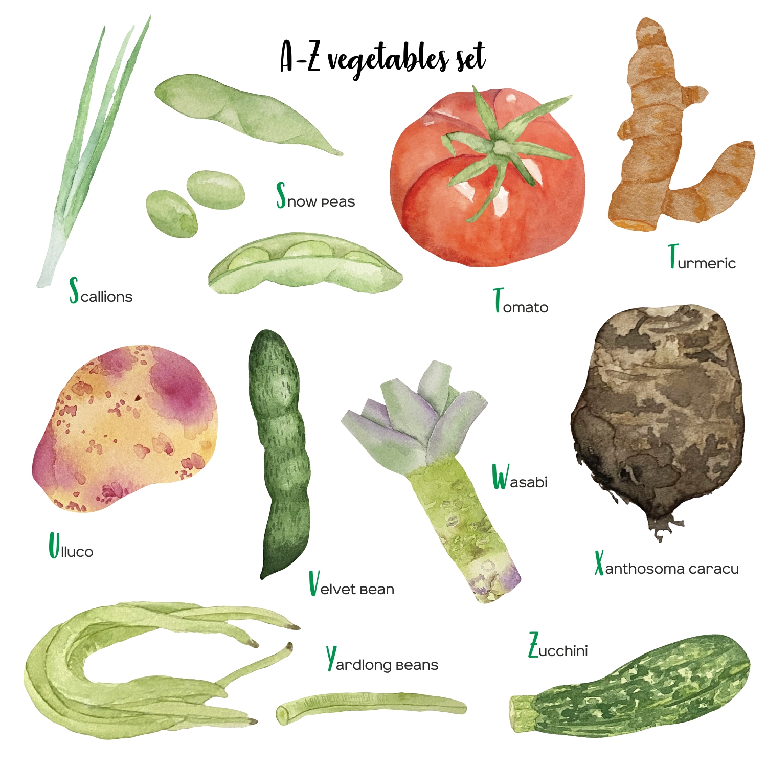 List Of Vegetables A Z