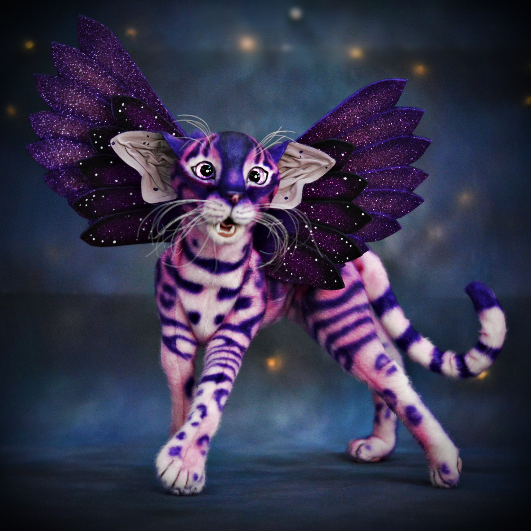 MADE TO ORDER Oriental Cat Art Doll Animal , Fantasy toys, B | Inspire ...