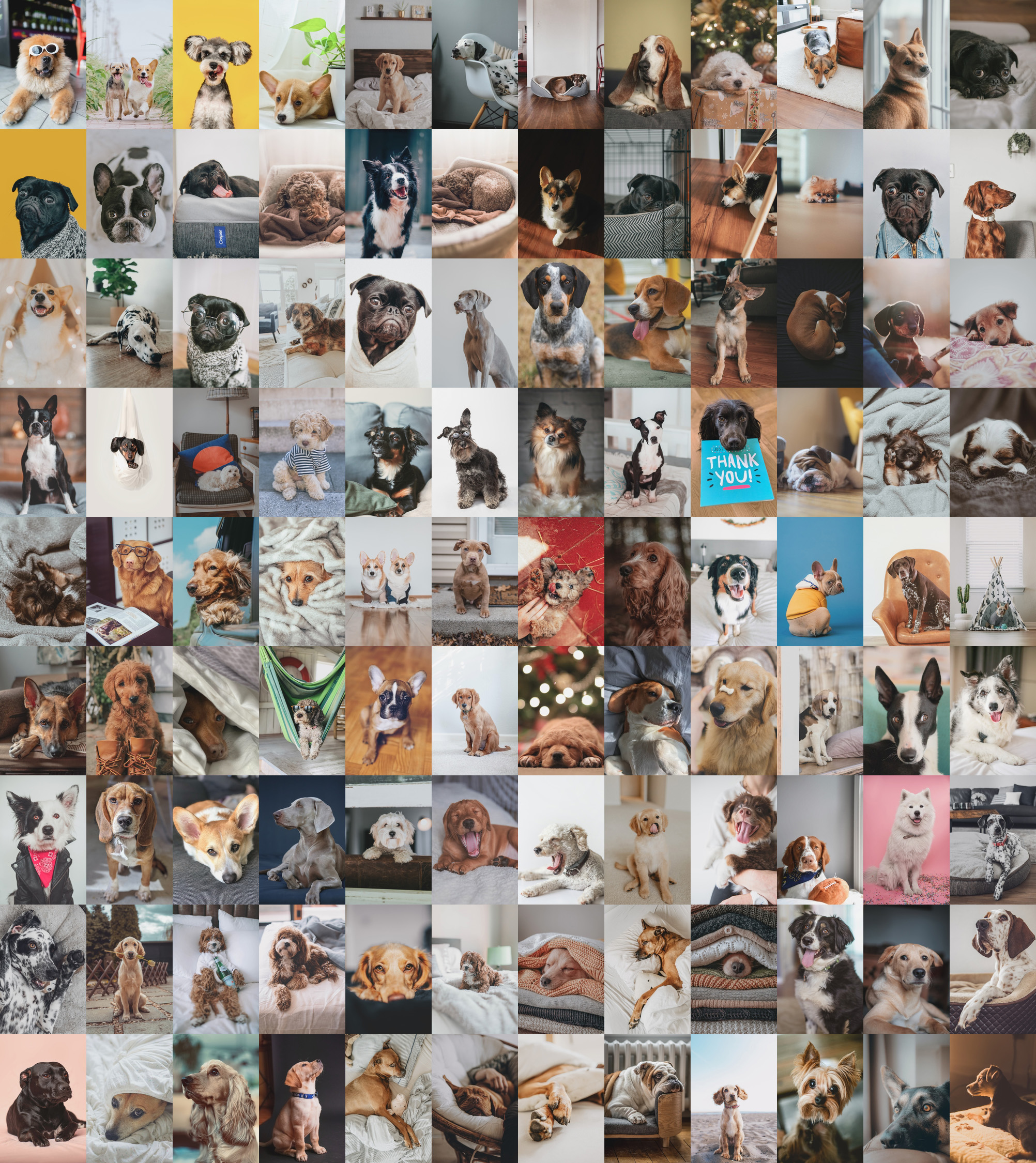 108 PCS Dogs wall collage kit DIGITAL DOWNLOAD | Dogs aesthe - Inspire ...
