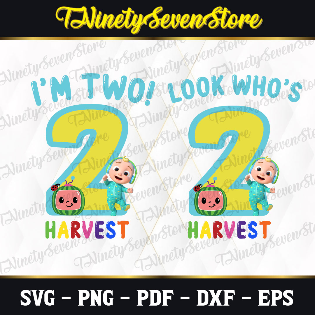 2nd Birthday Svg, Look Who's Svg, Happy Birthday Svg, Cricut - Inspire ...