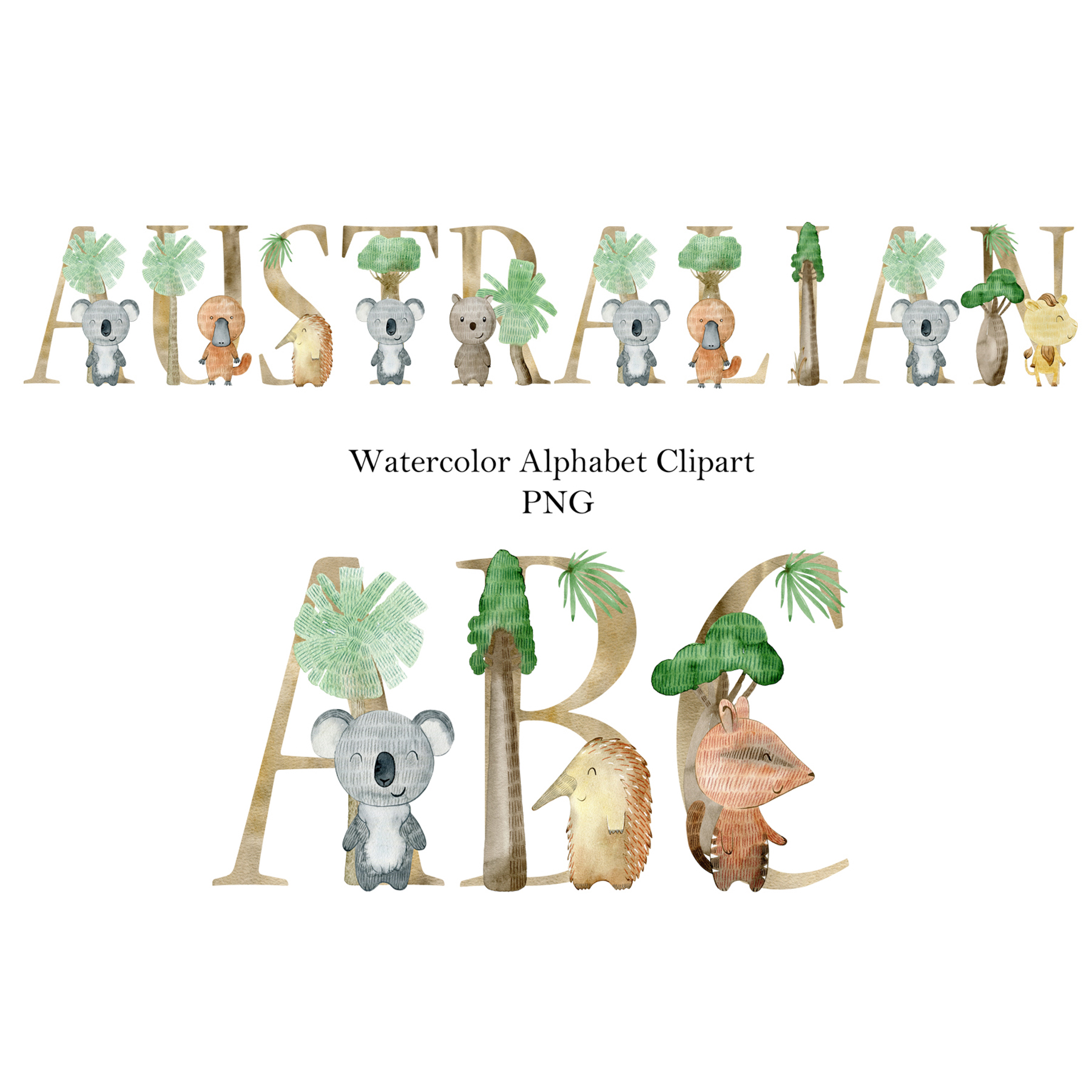 Watercolor alphabet, australian animals clipart, nursery let | Inspire ...