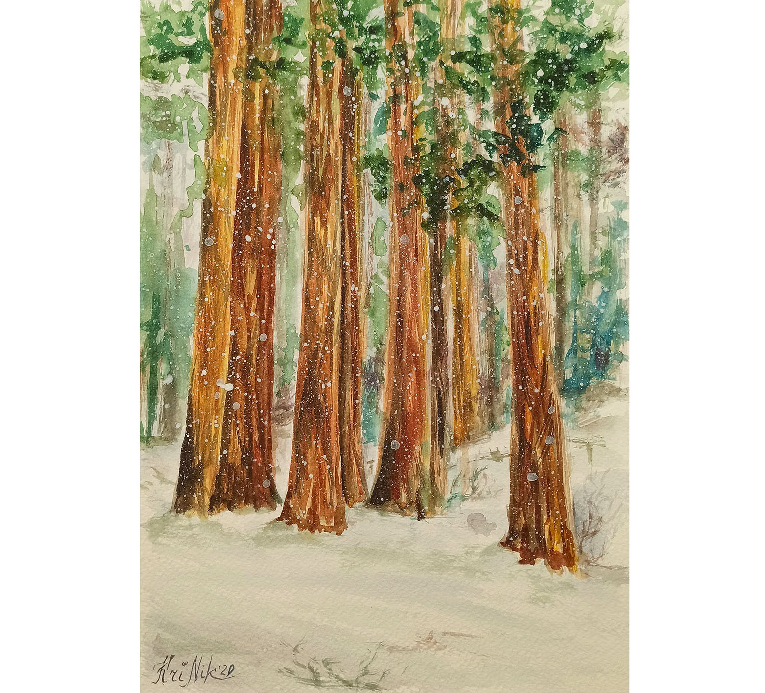 Sequoia Painting Trees Watercolor Landscape Original Art 12 - Inspire ...