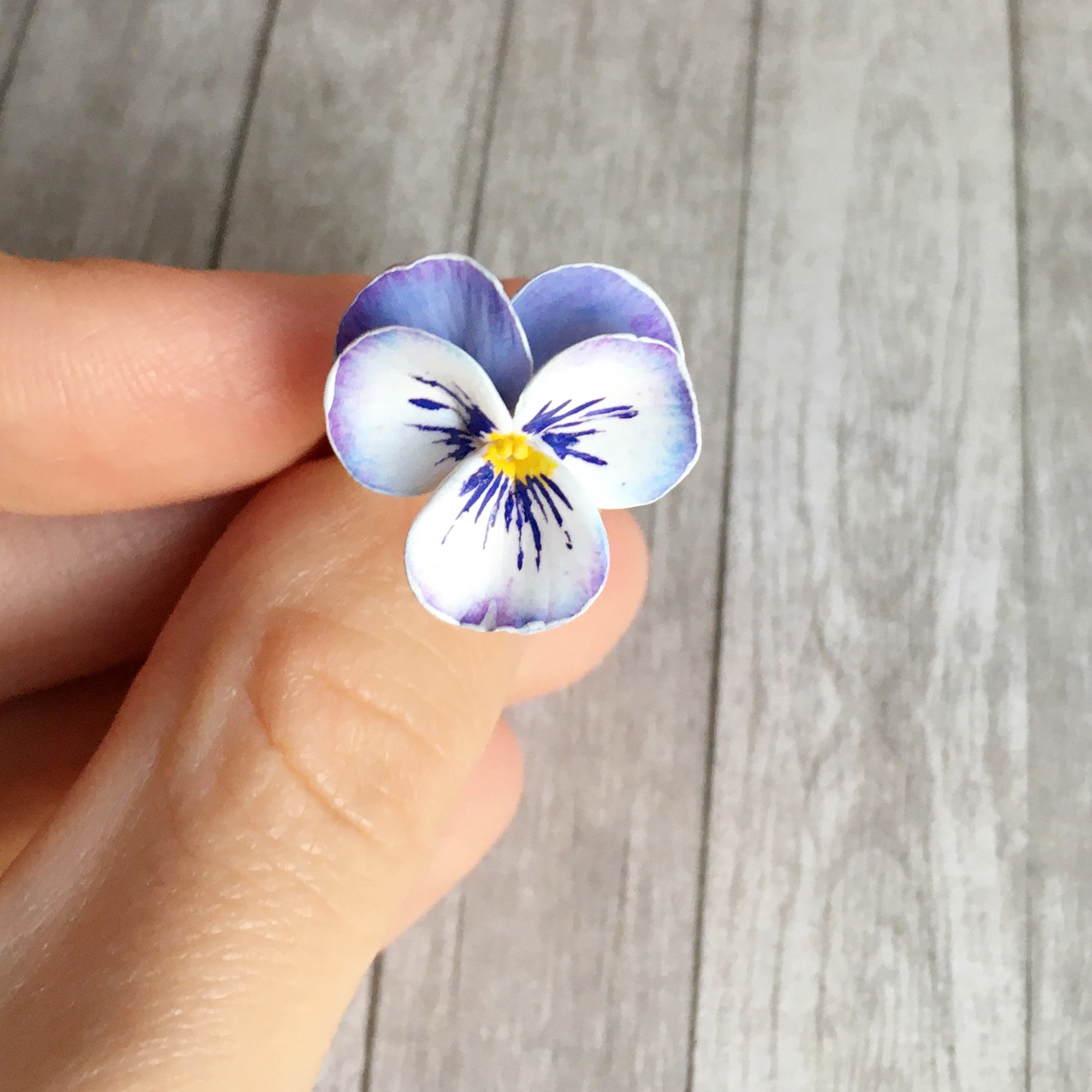 Pansy lavender delicate ring, Flower viola ring, Pansy flora | Inspire ...