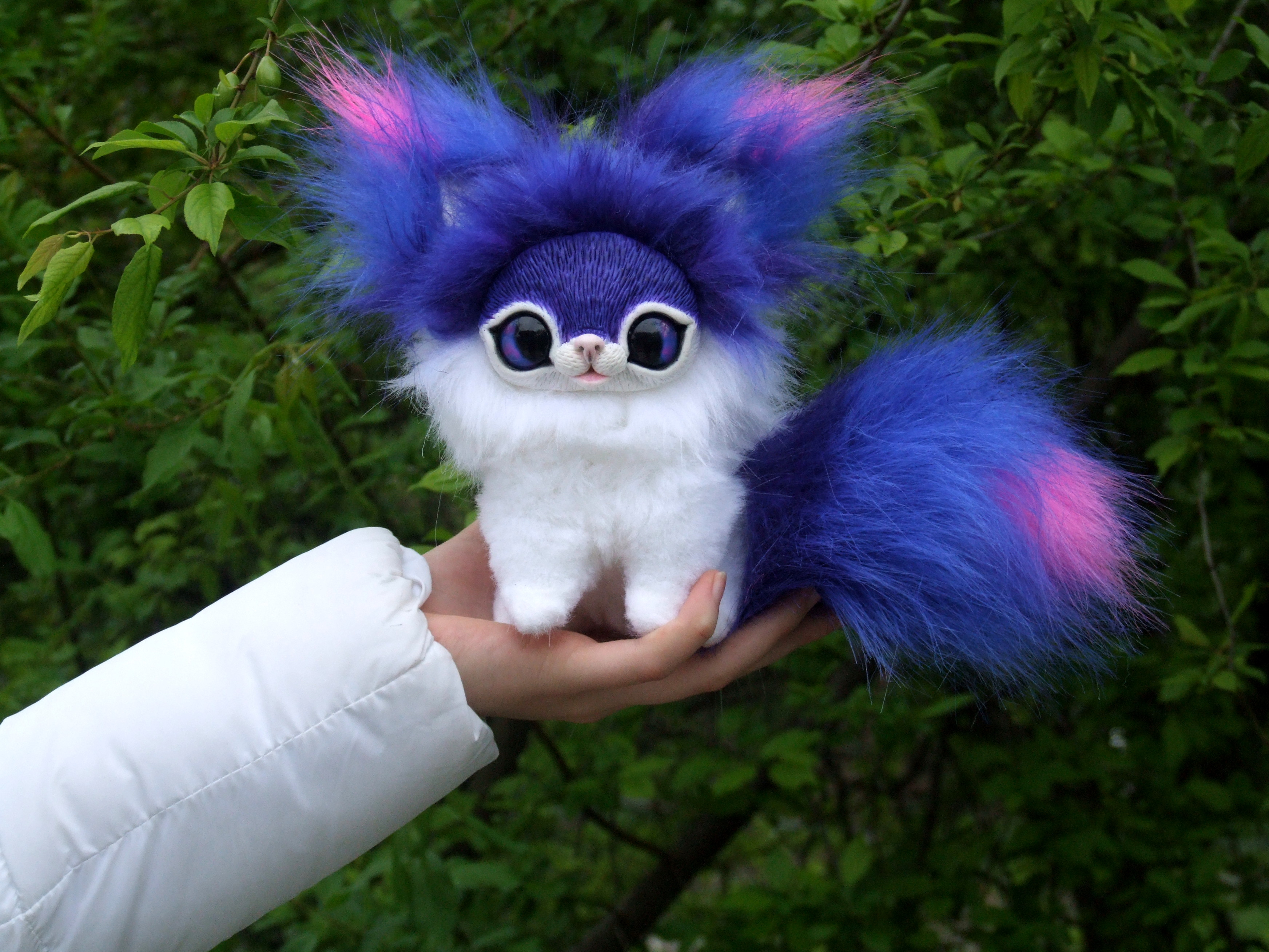 Baby Cat | Inspire Uplift