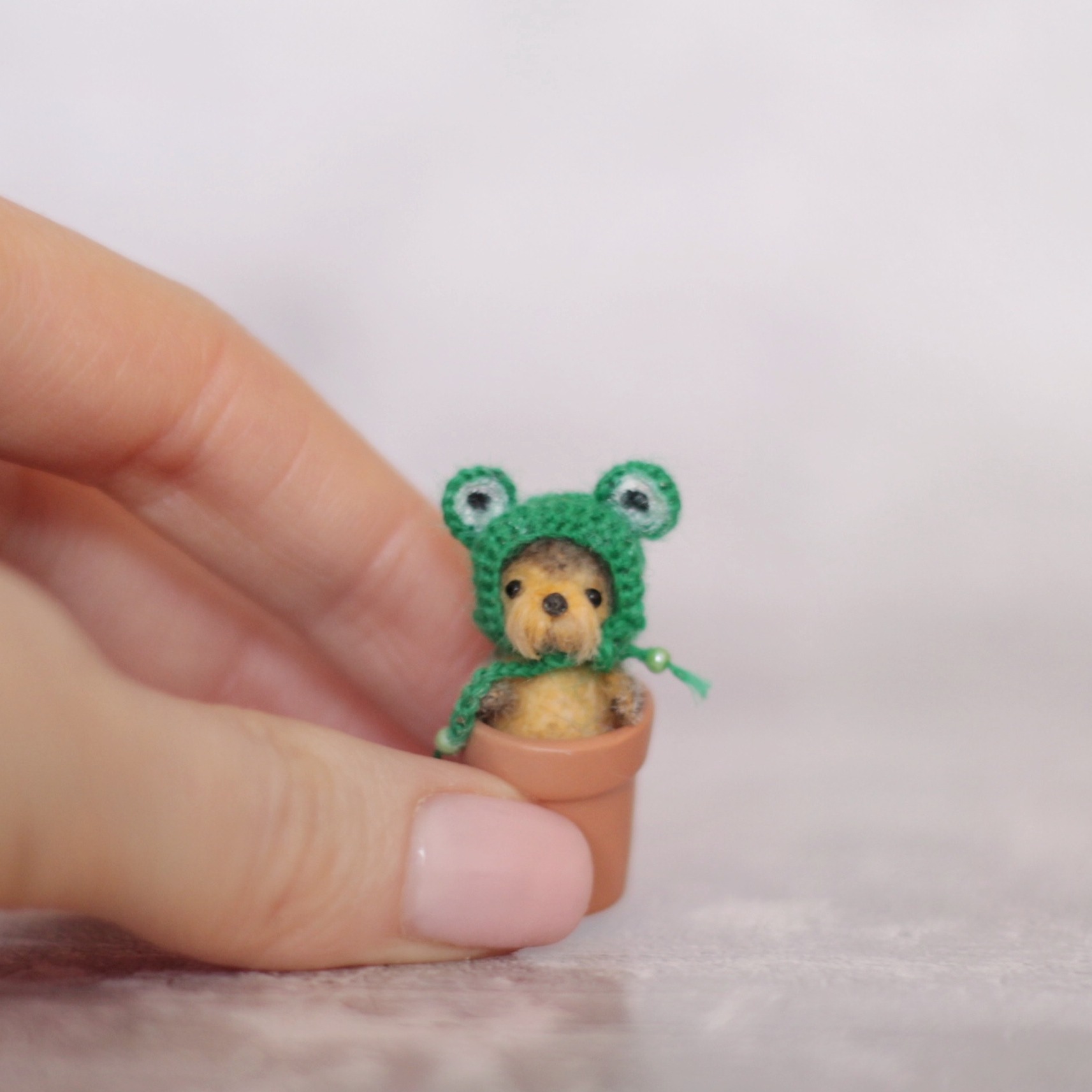 Micro toy puppy, Miniature yorkie, Mini yorkshire terrier, D | Inspire ...