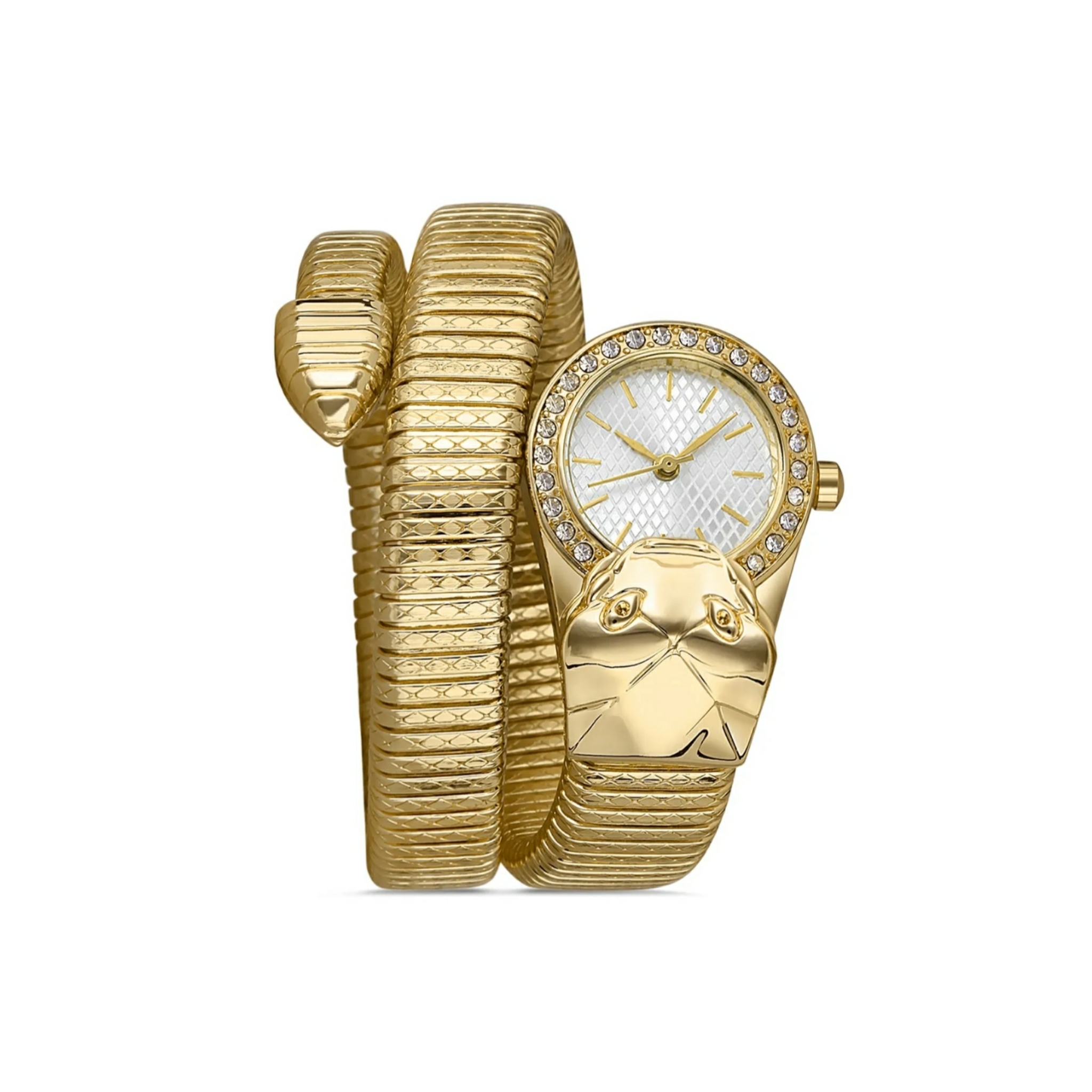 Snake Watch, Snake Wrist Watch, Wristwatch for Women, Valent - Inspire ...