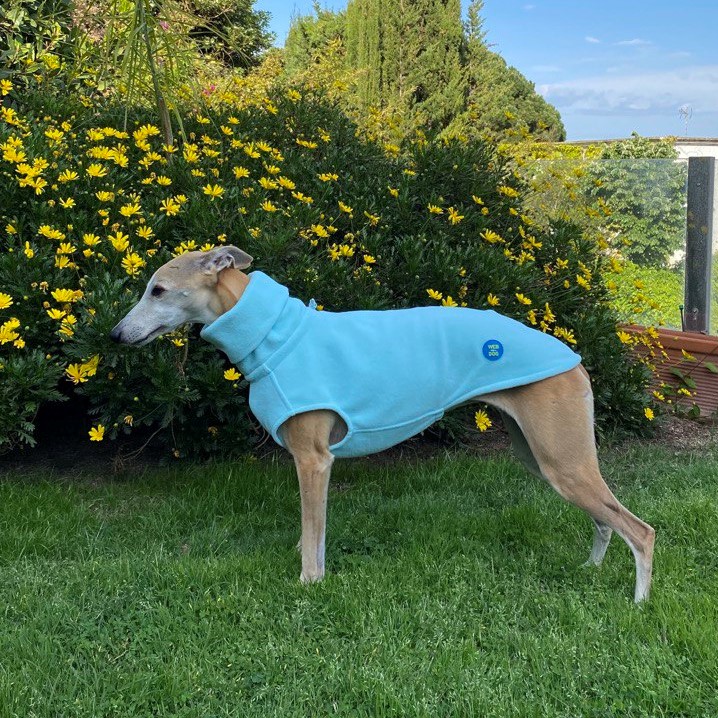 Gorgeous fleece jumper for whippet. Back length 21 inches | Inspire Uplift
