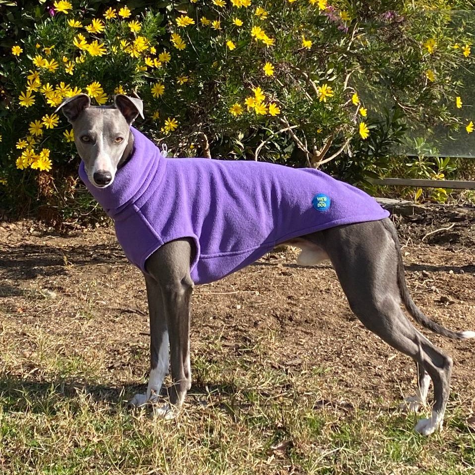 Stylish fleece jumper for whippet. Back length 21 inch. Comf | Inspire ...