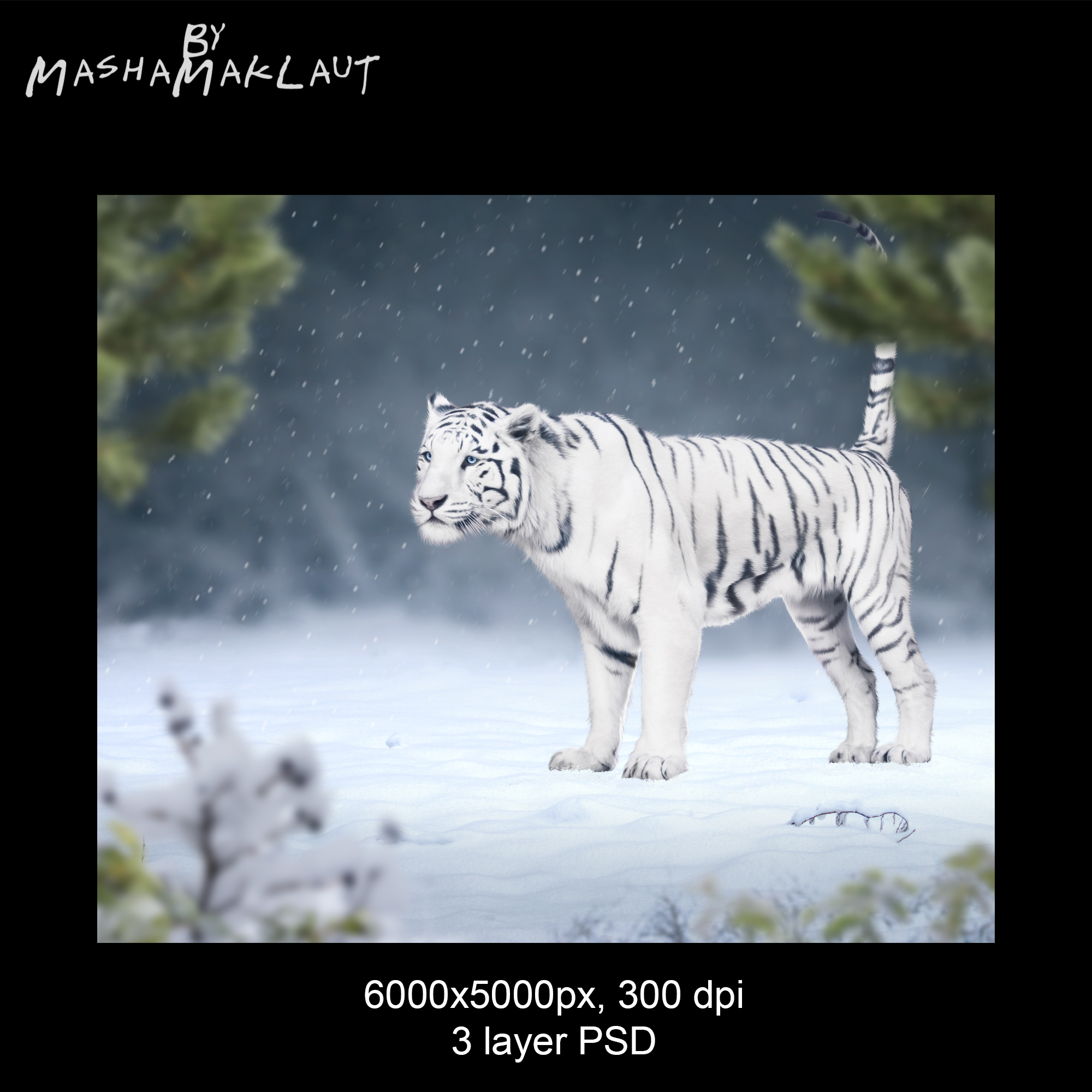 Snow Tiger Digital Background Layered PSD | Inspire Uplift