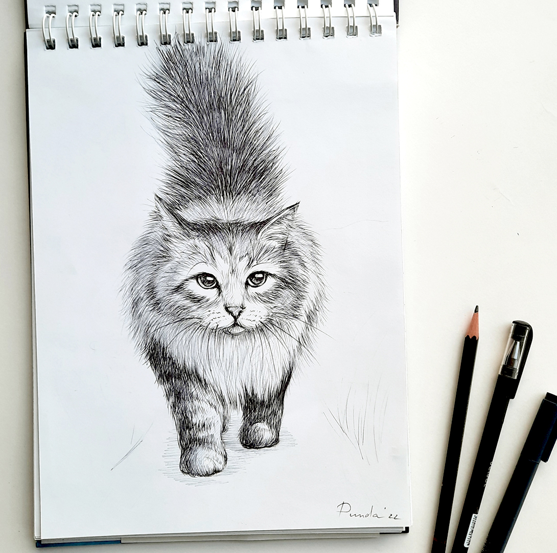 Cat on a walk Drawing for download Digital Printable File wa | Inspire ...