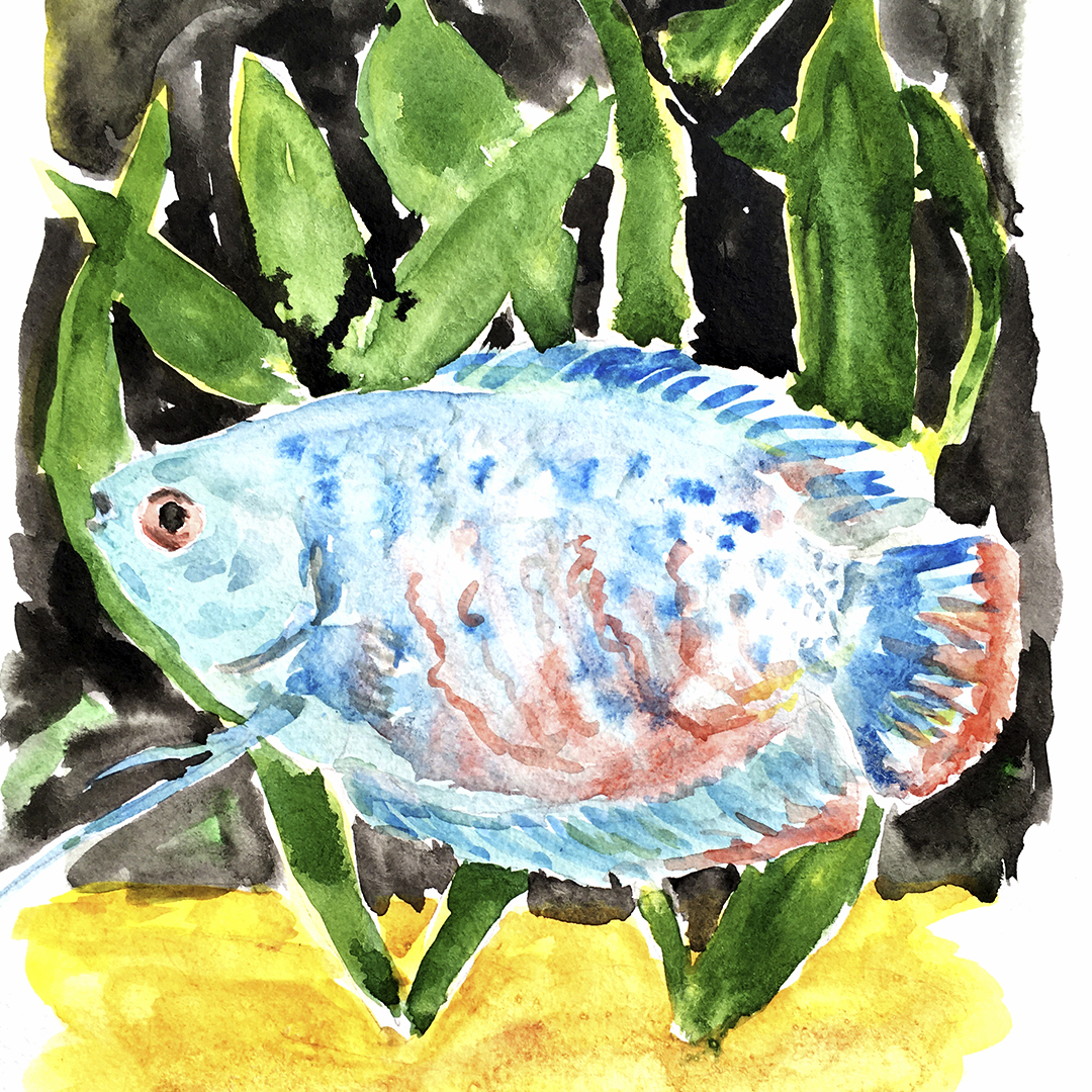 Fish Gourami Male Original Watercolor Aquarium painting | Inspire Uplift
