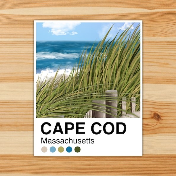 Cape Cod Massachusetts Color Palette Vinyl Sticker | Inspire Uplift