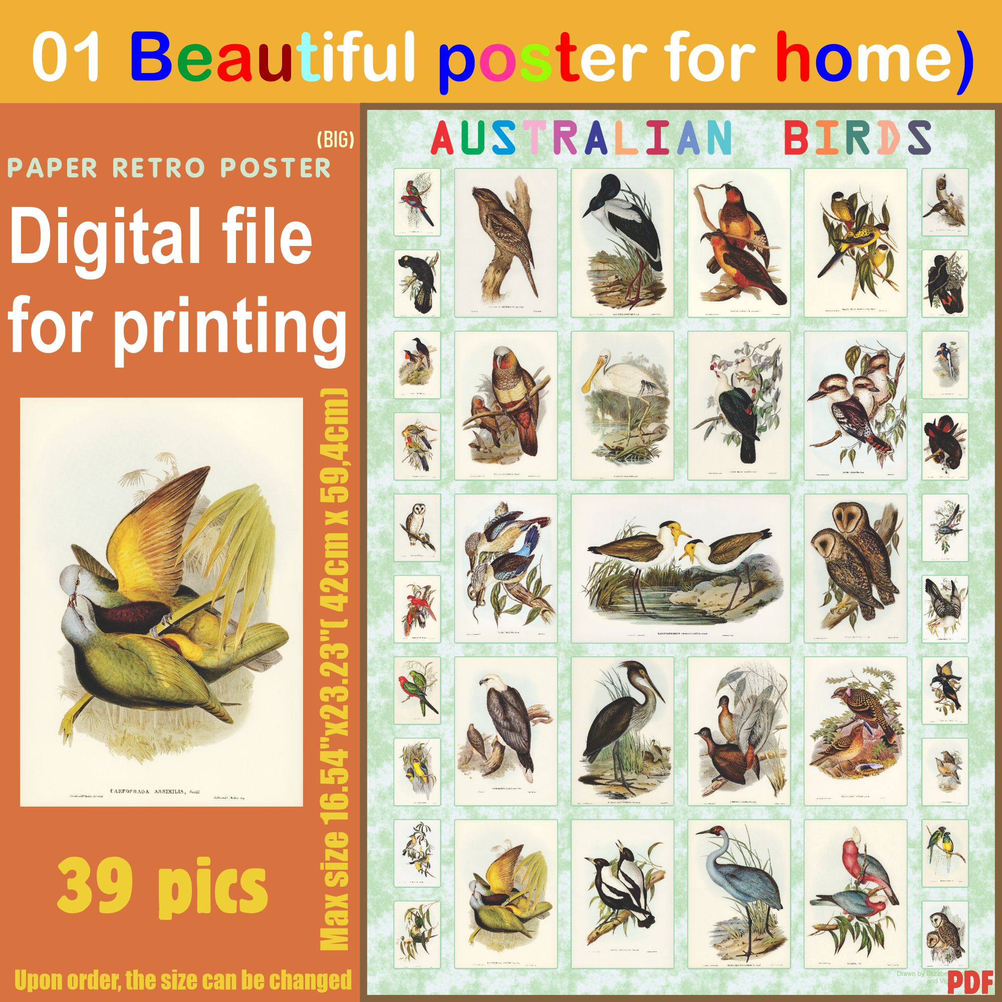 01 Retro poster (BIG)Australien BIRDS | Inspire Uplift