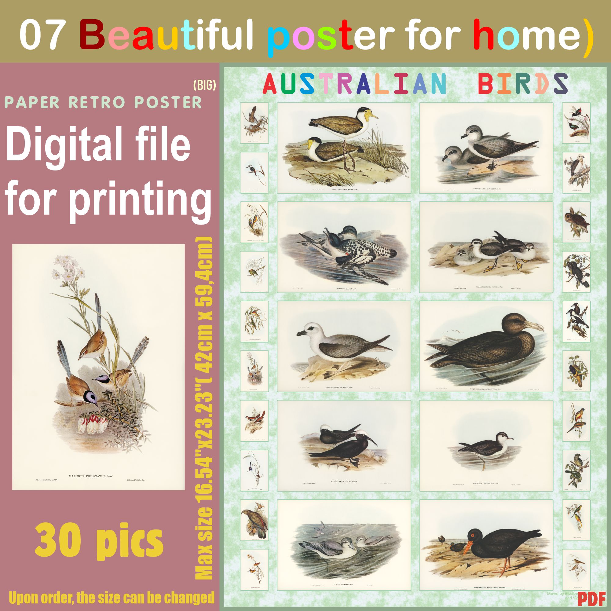 07 Retro poster (BIG) Australien BIRDS - Inspire Uplift
