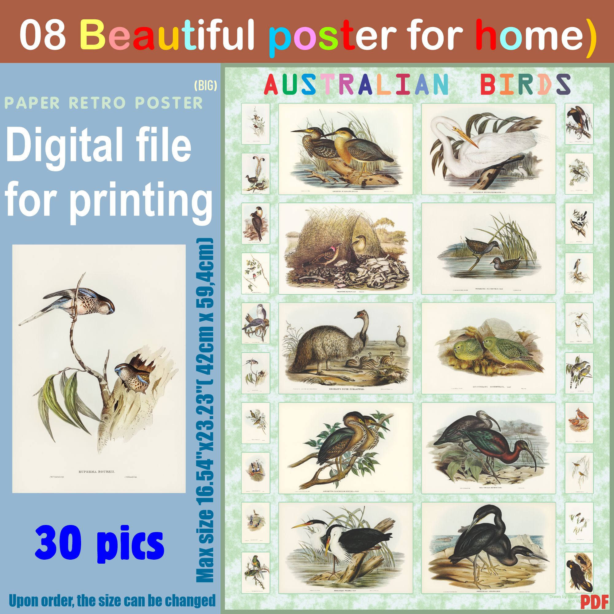 08 Retro poster (BIG) Australien BIRDS | Inspire Uplift