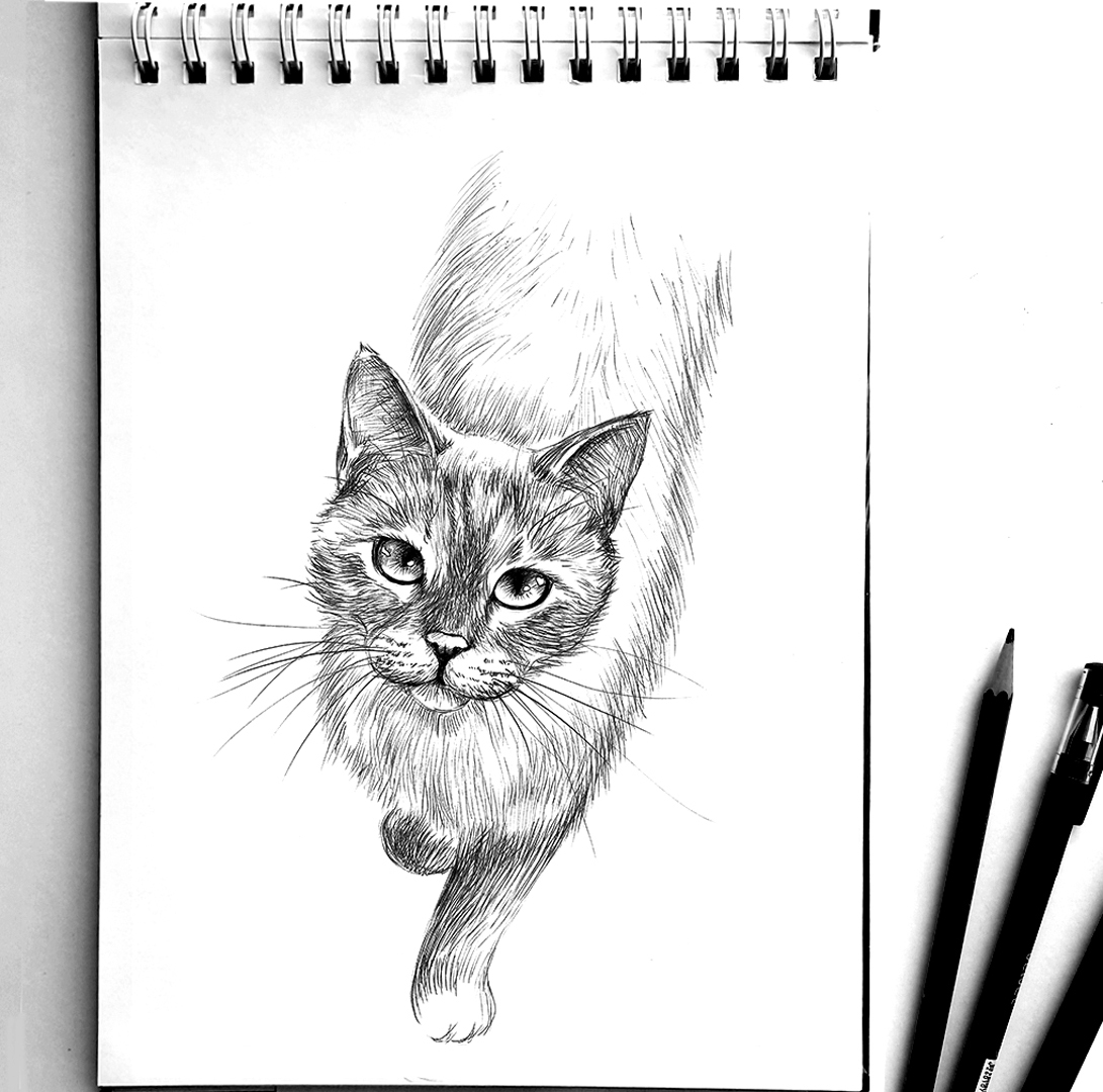 The Cat Looking - Original Printable Drawing Digital File Do - Inspire ...