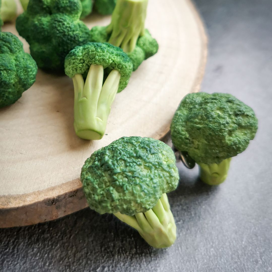 Vegan Broccoli pin and earrings - vegan brooch funny jewelry | Inspire ...