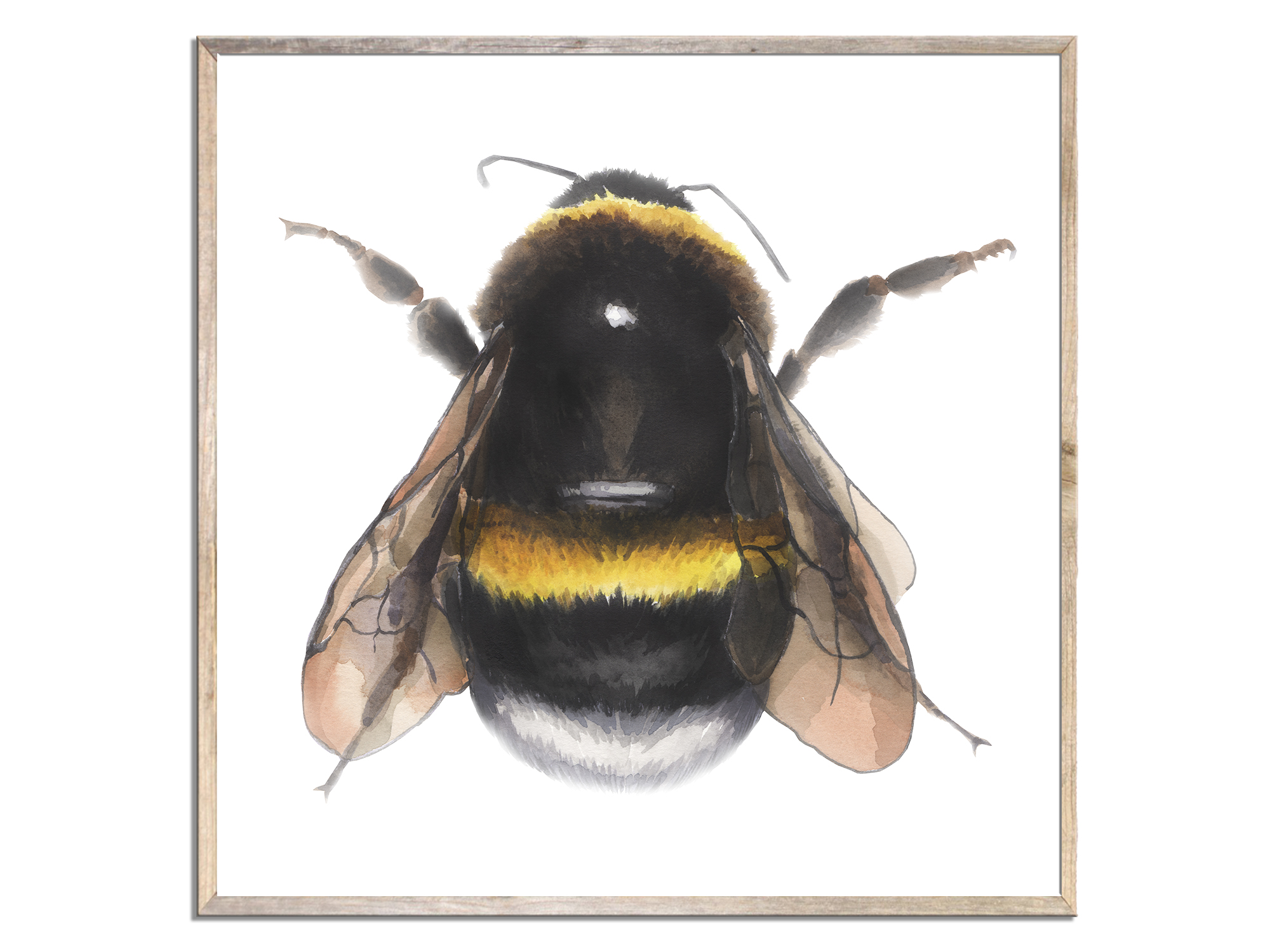 Bee Print Wall Art Bumblebee Watercolor Painting Honey Bee | Inspire Uplift