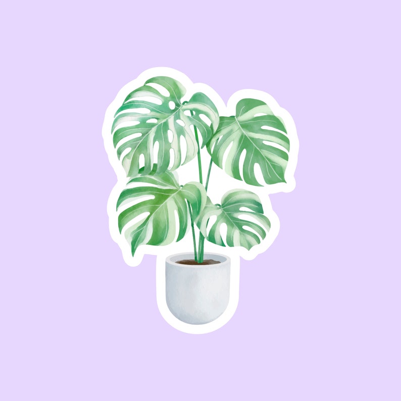 Monstera Plant Sticker, Monstera Leaf Sticker, Die Cut Stick - Inspire ...