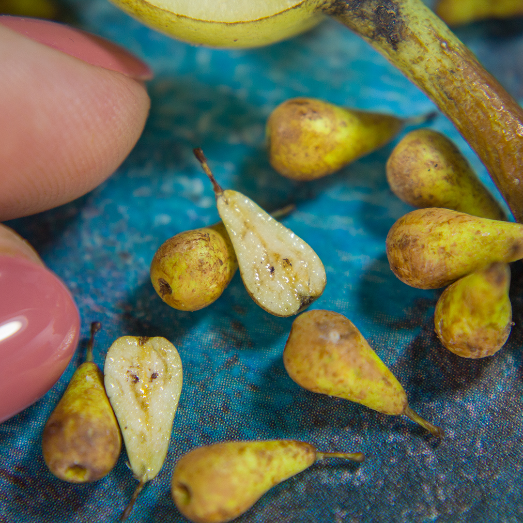 TUTORIAL Miniature polymer clay green pears with polymer cla - Inspire ...