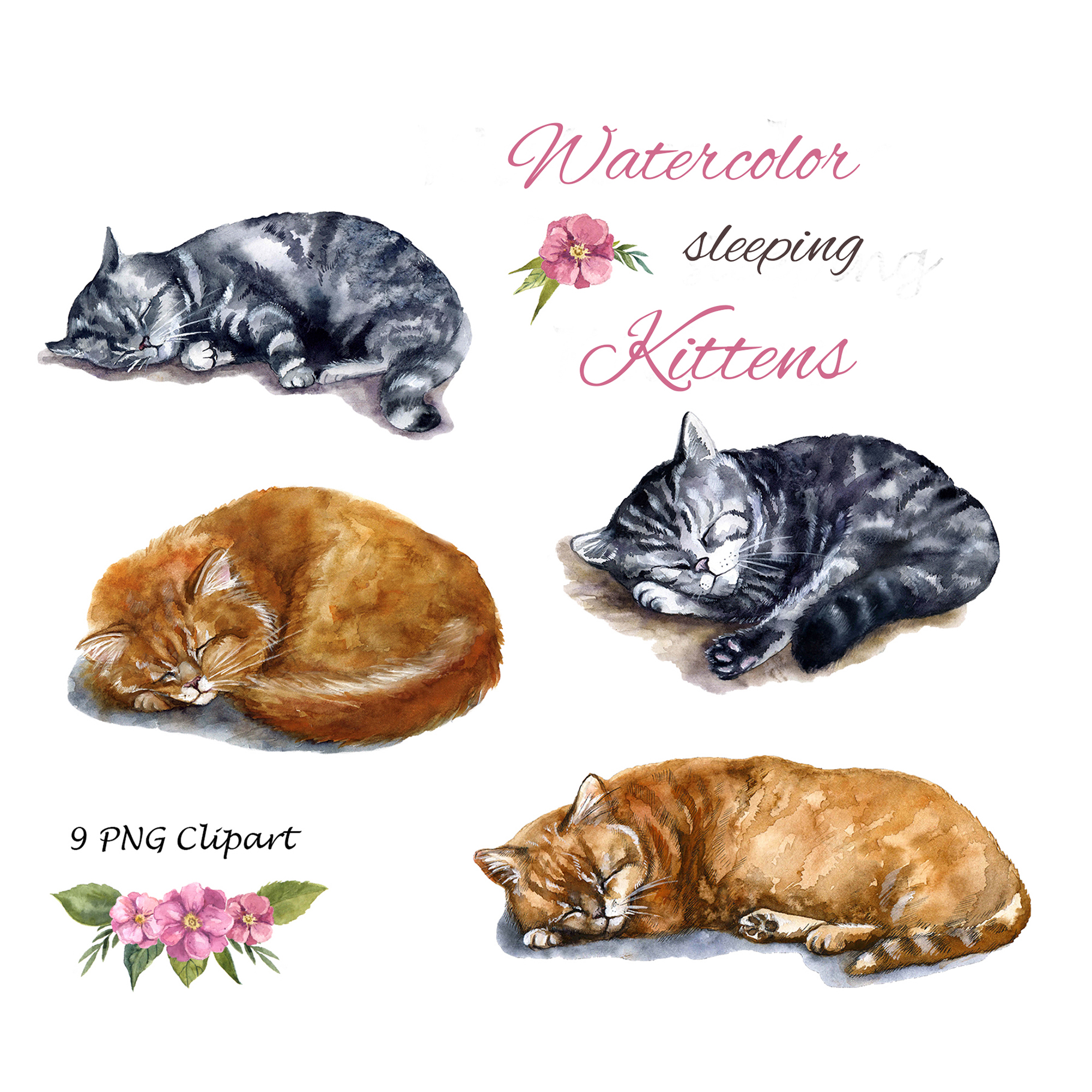 Watercolor clipart. Cat and wreaths Clip art. Cute animals. | Inspire ...