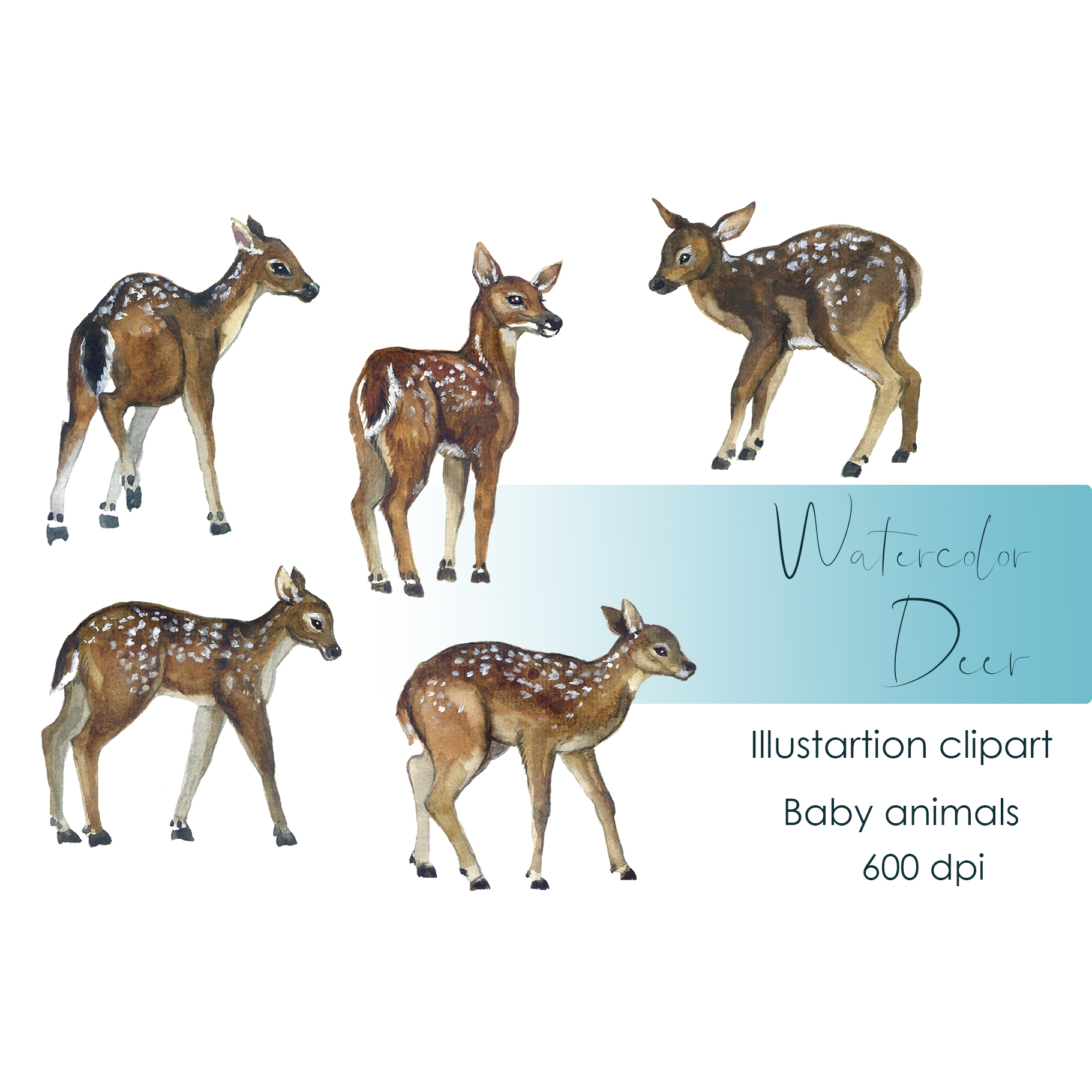 Watercolor Deer Clipart, Woodland Baby, Hand drawn cute clip - Inspire ...