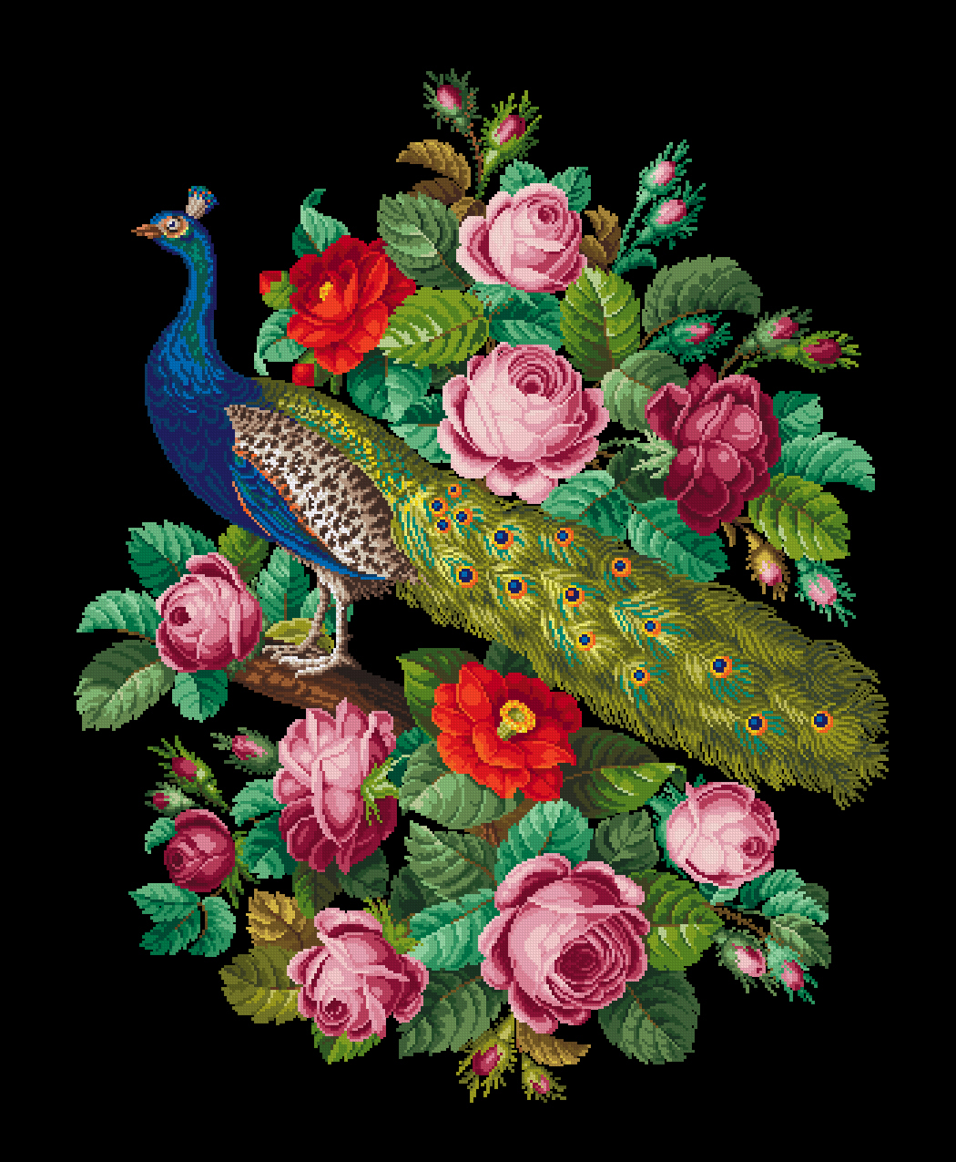 200404 Peacock in Pink Roses | Inspire Uplift