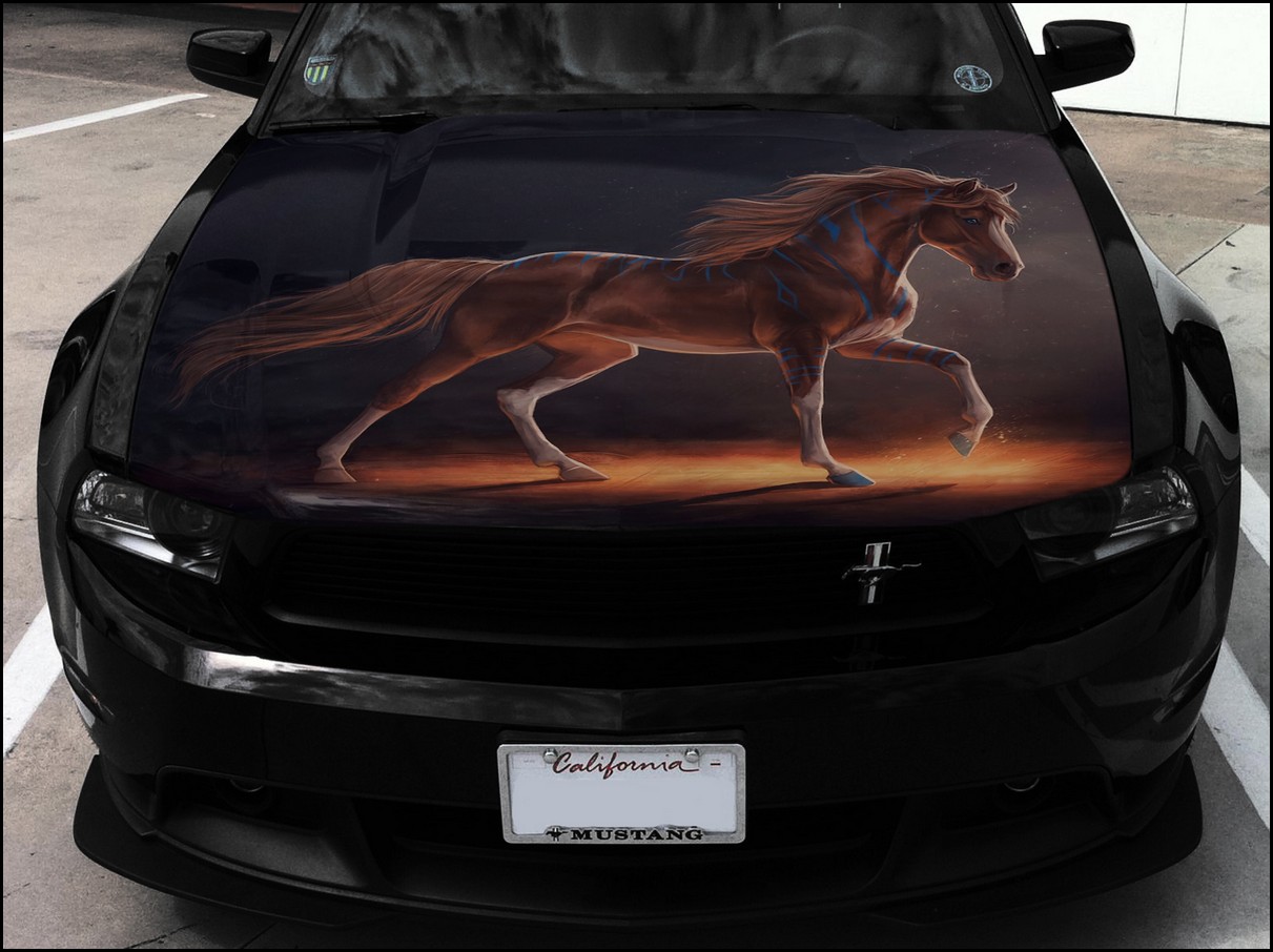 Vinyl Car Hood Wrap Full Color Graphics Decal Horse Sticker | Inspire ...