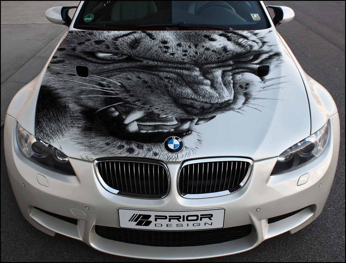 Vinyl Car Hood Wrap Full Color Graphics Decal Irbis Sticker | Inspire ...