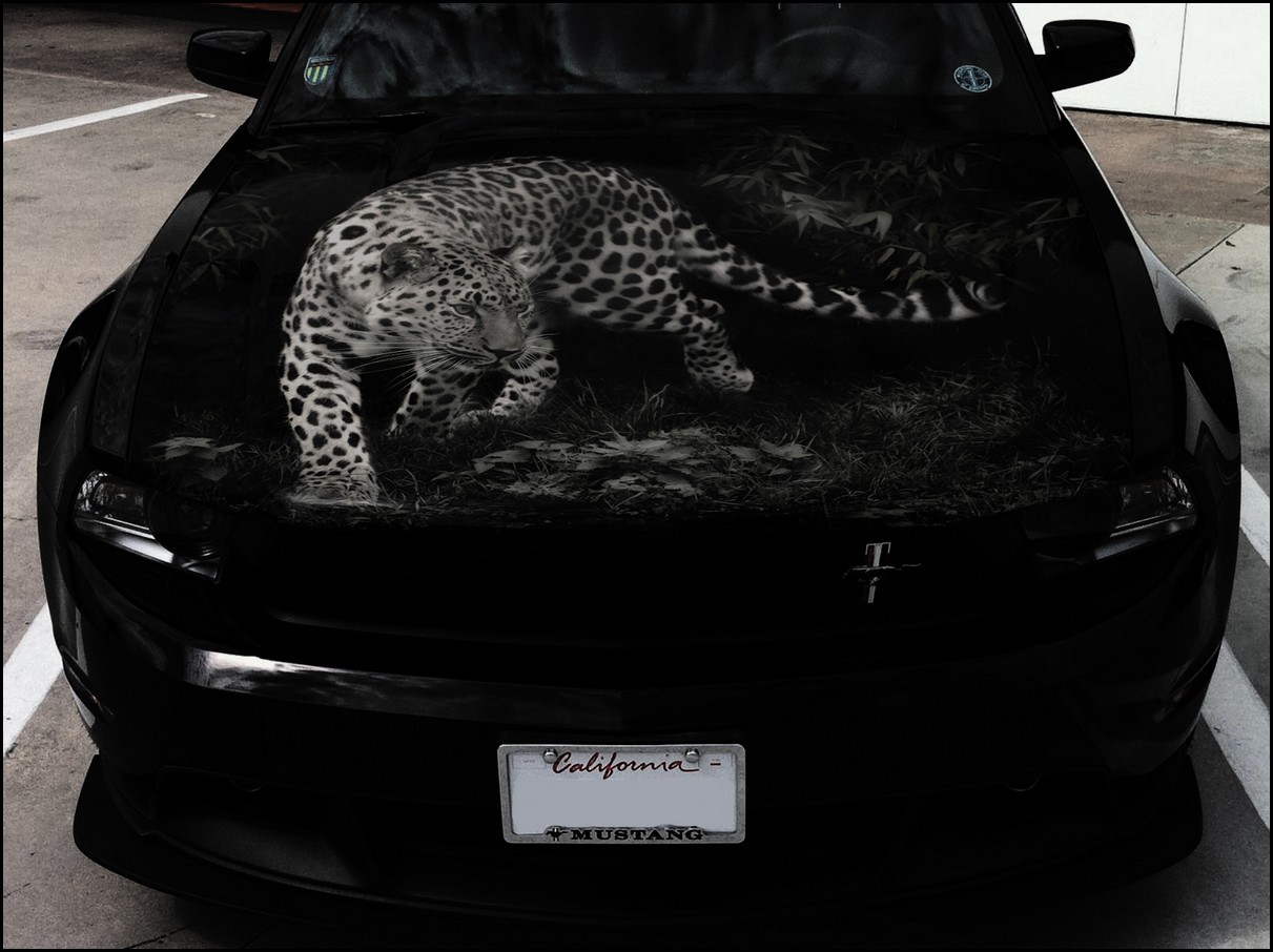 Vinyl Car Hood Wrap Full Color Graphics Decal Leopard Sticke - Inspire ...