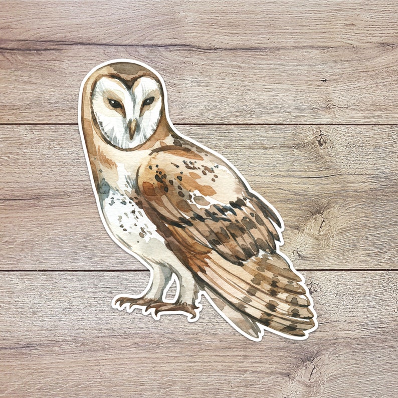 Watercolor barn owl sticker, Waterproof vinyl decal, Great g | Inspire ...