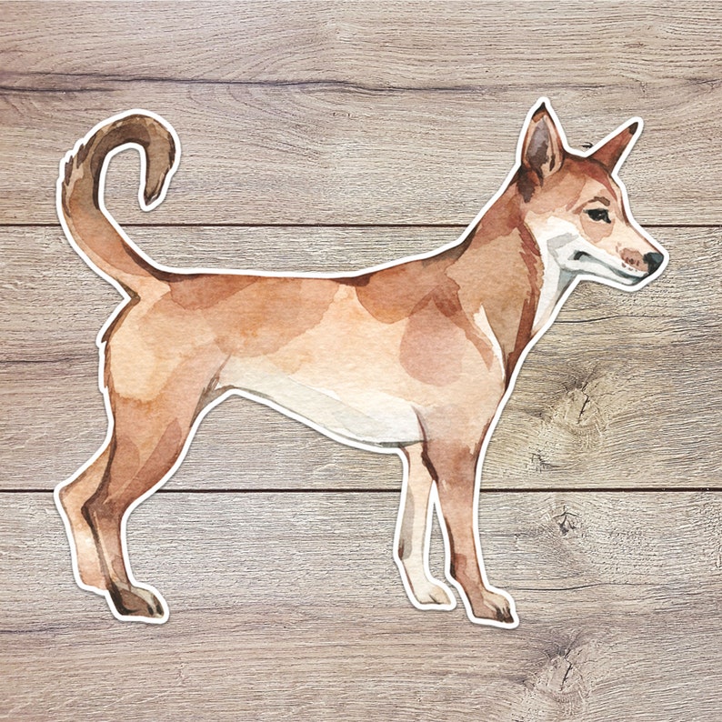 Watercolor dingo sticker, Waterproof vinyl decal, Great gift - Inspire ...