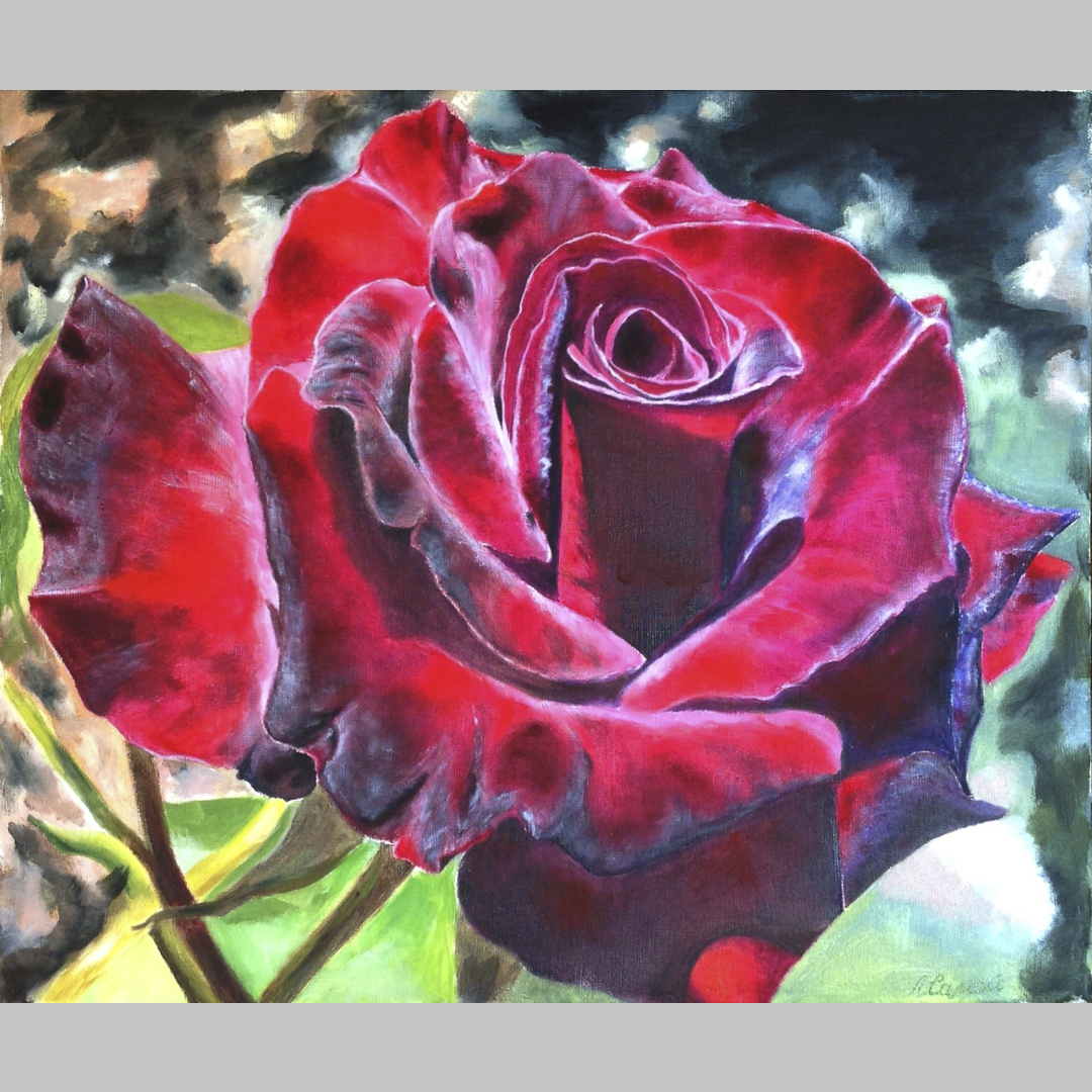 Rose burgundy - Inspire Uplift