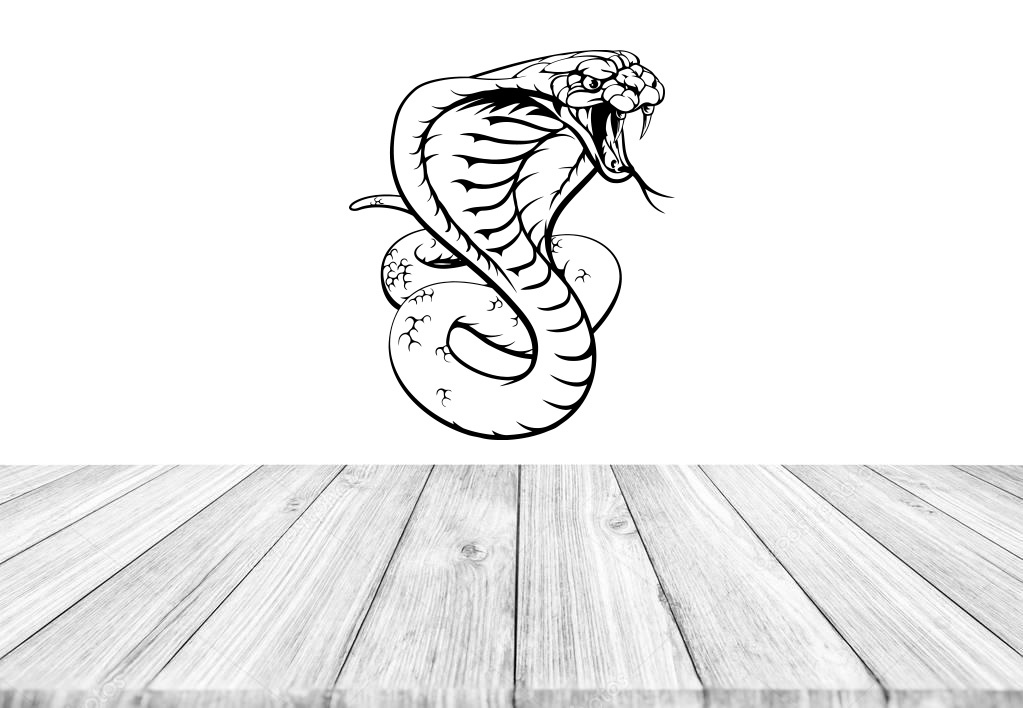 Cobra Sticker, Reptile Wall Sticker Vinyl Decal Mural Art De | Inspire ...