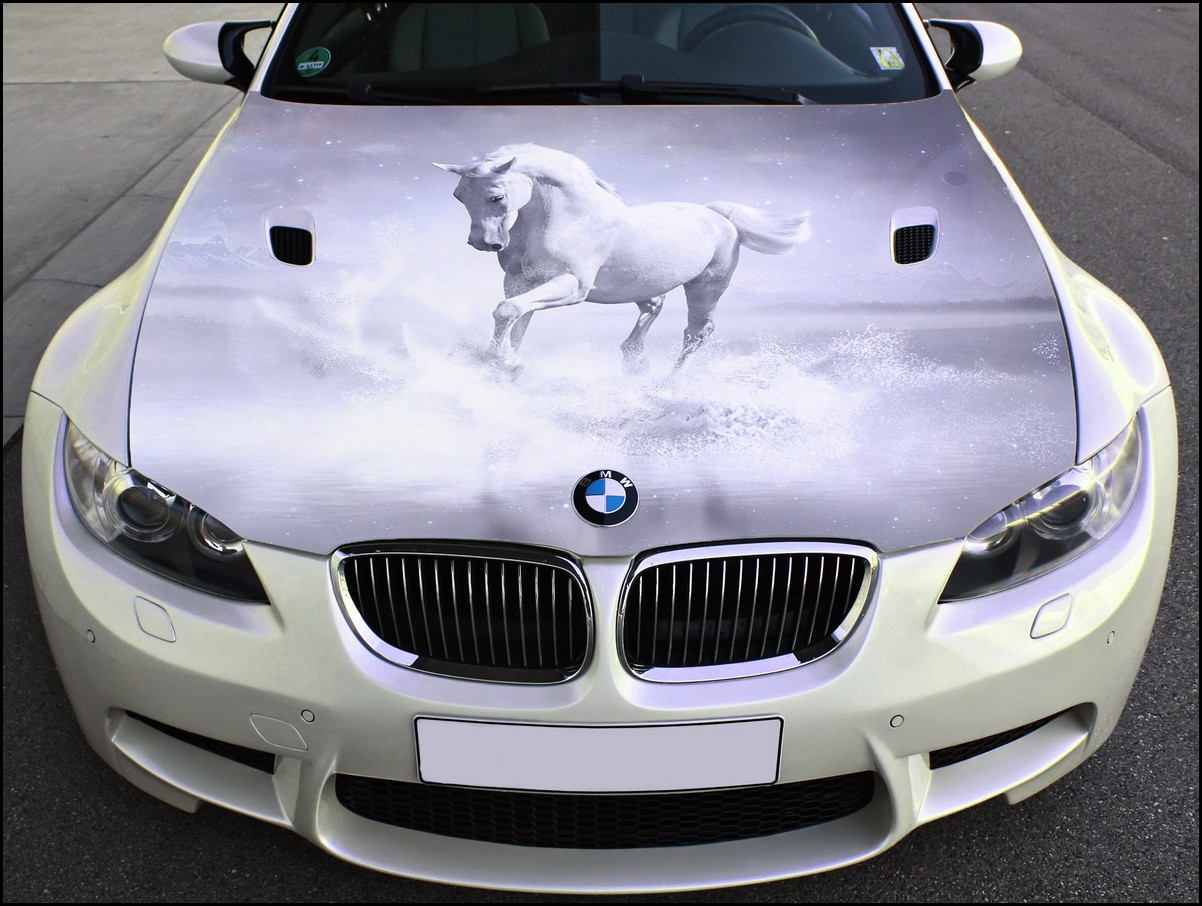 Vinyl Car Hood Wrap Full Color Graphics Decal White Horse St - Inspire ...