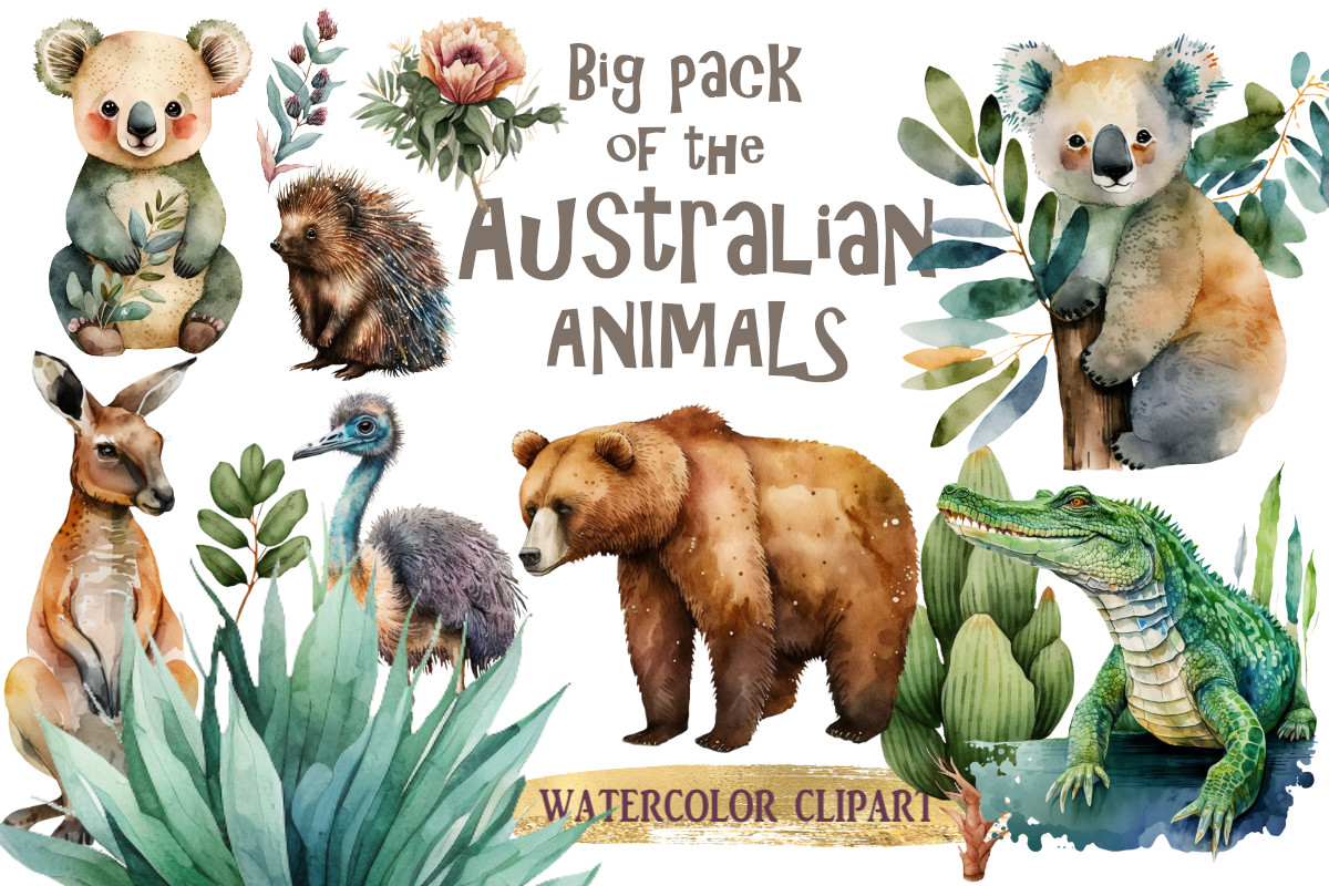 Australian Animals Clipart
