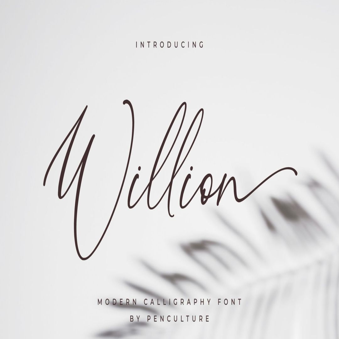 Willion Calligraphy Trending Fonts - Digital Font | Inspire Uplift