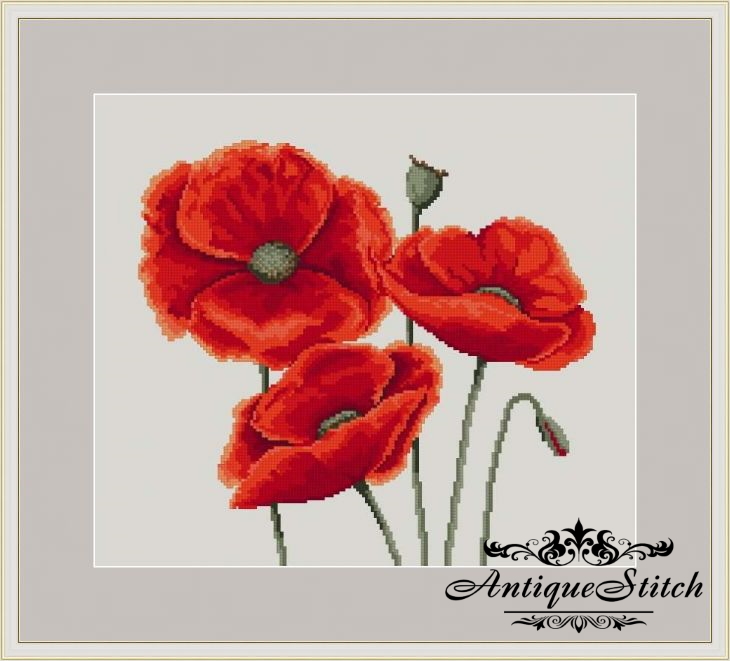 Red Poppy 65 Vintage Cross Stitch Pattern PDF Garden Flowers - Inspire ...