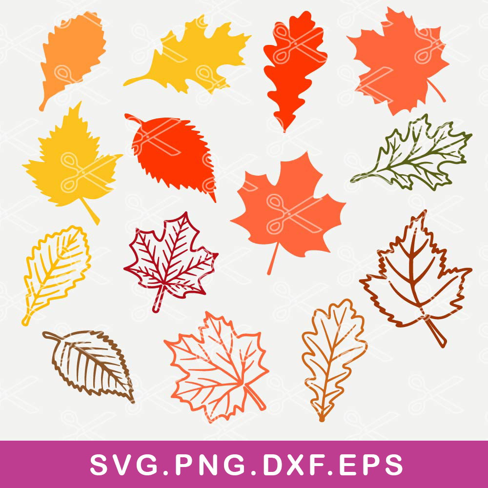 Fall Leaf Bundle Svg, Fall Leaf Svg, Fall Leaves Svg, Fall S | Inspire ...