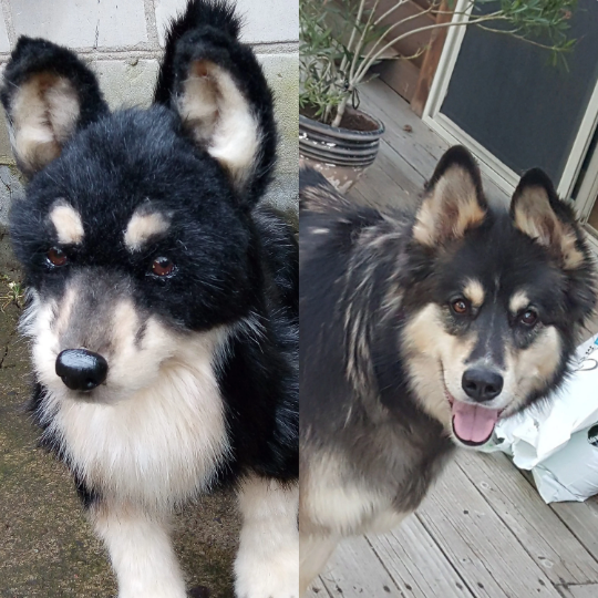 Custom pet portrait toy realistic plush dog portrait plush | Inspire Uplift