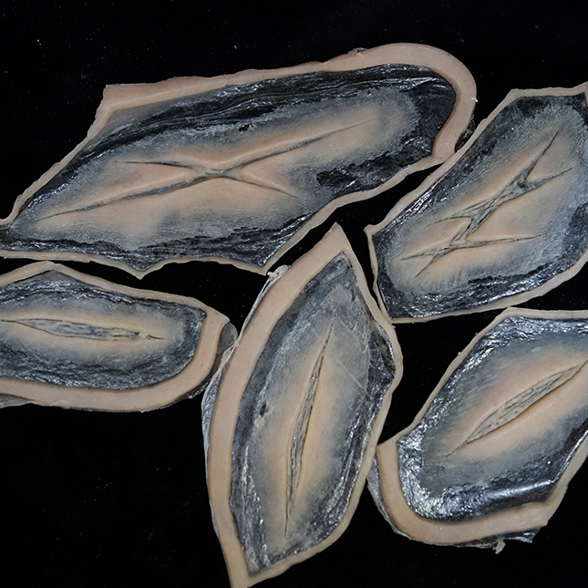 Silicone prosthetic. Cutted wounds | Inspire Uplift